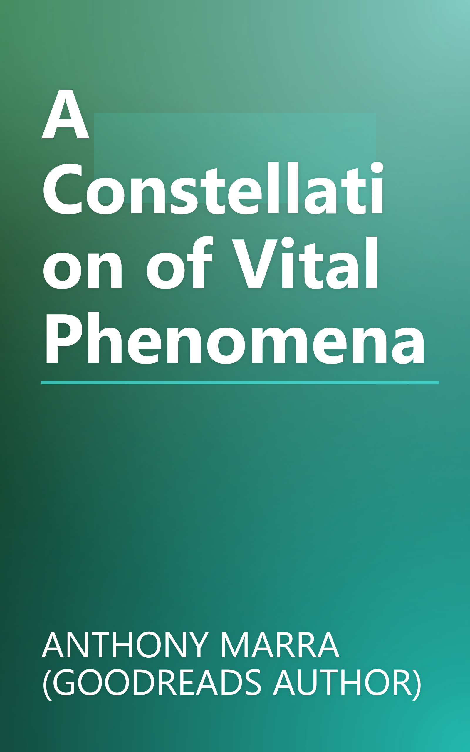 A Constellation of Vital Phenomena book cover