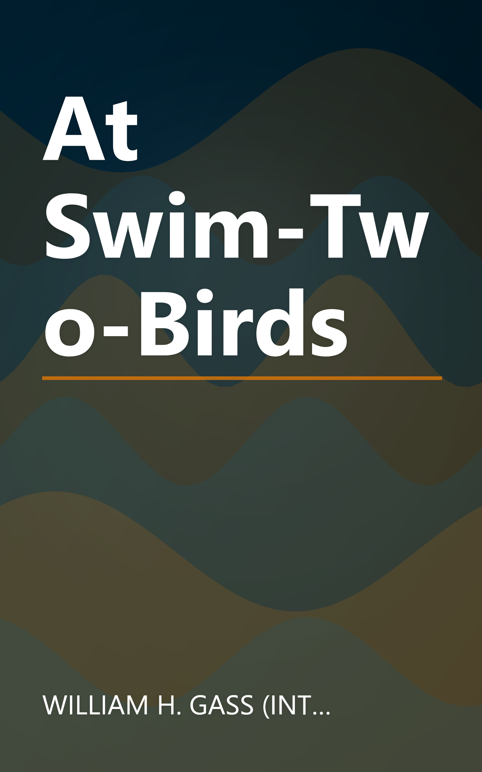 At Swim-Two-Birds book cover