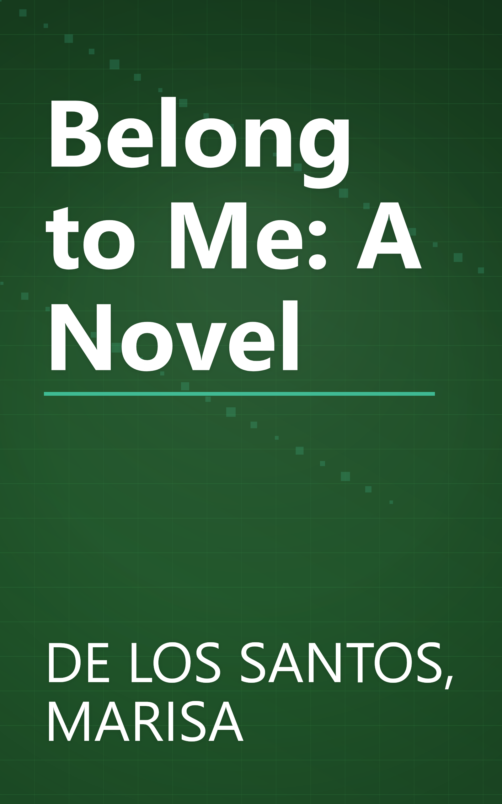 Belong to Me: A Novel book cover