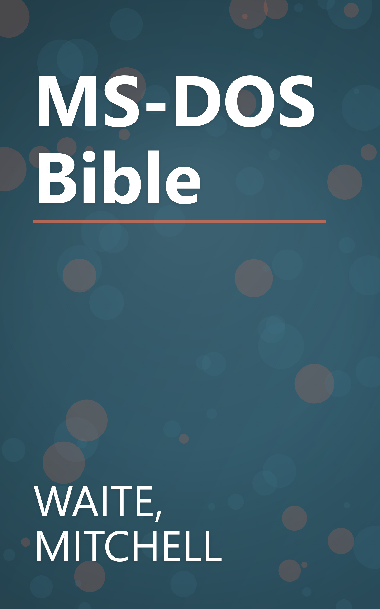 MS-DOS Bible book cover