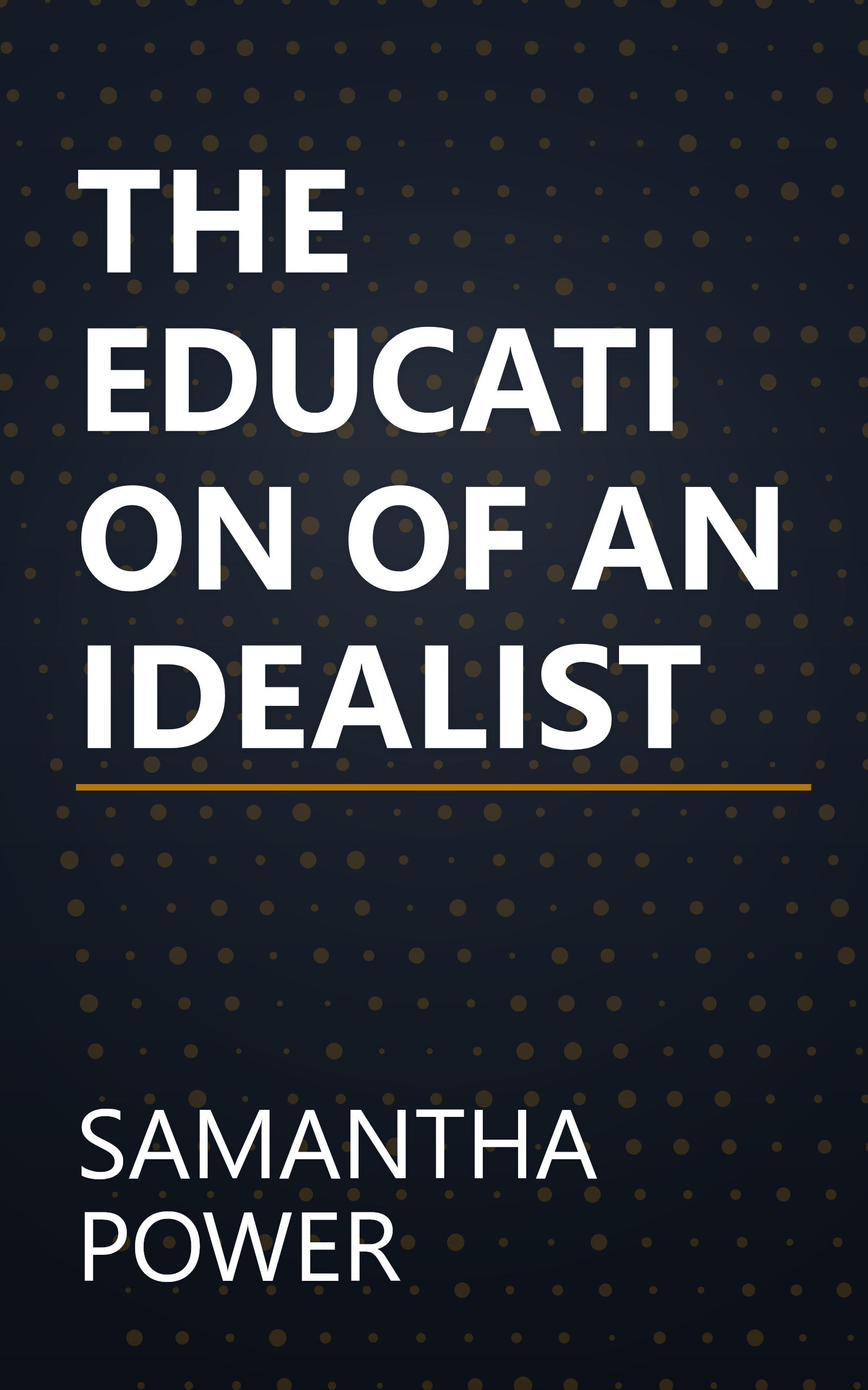 THE EDUCATION OF AN IDEALIST book cover