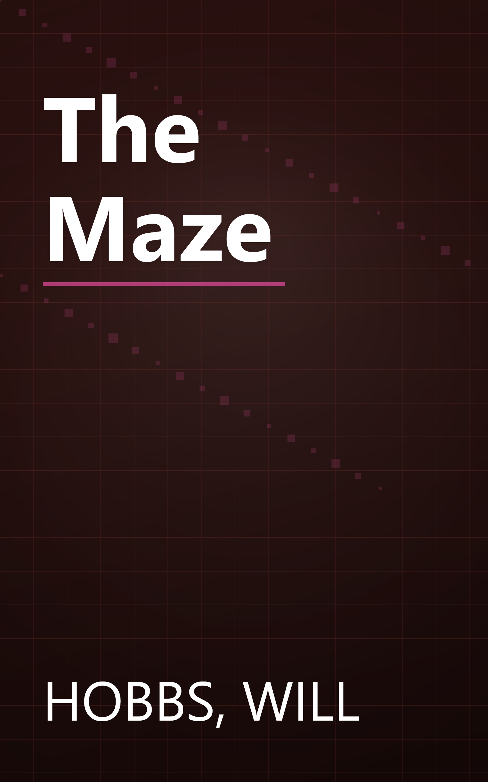 The Maze book cover