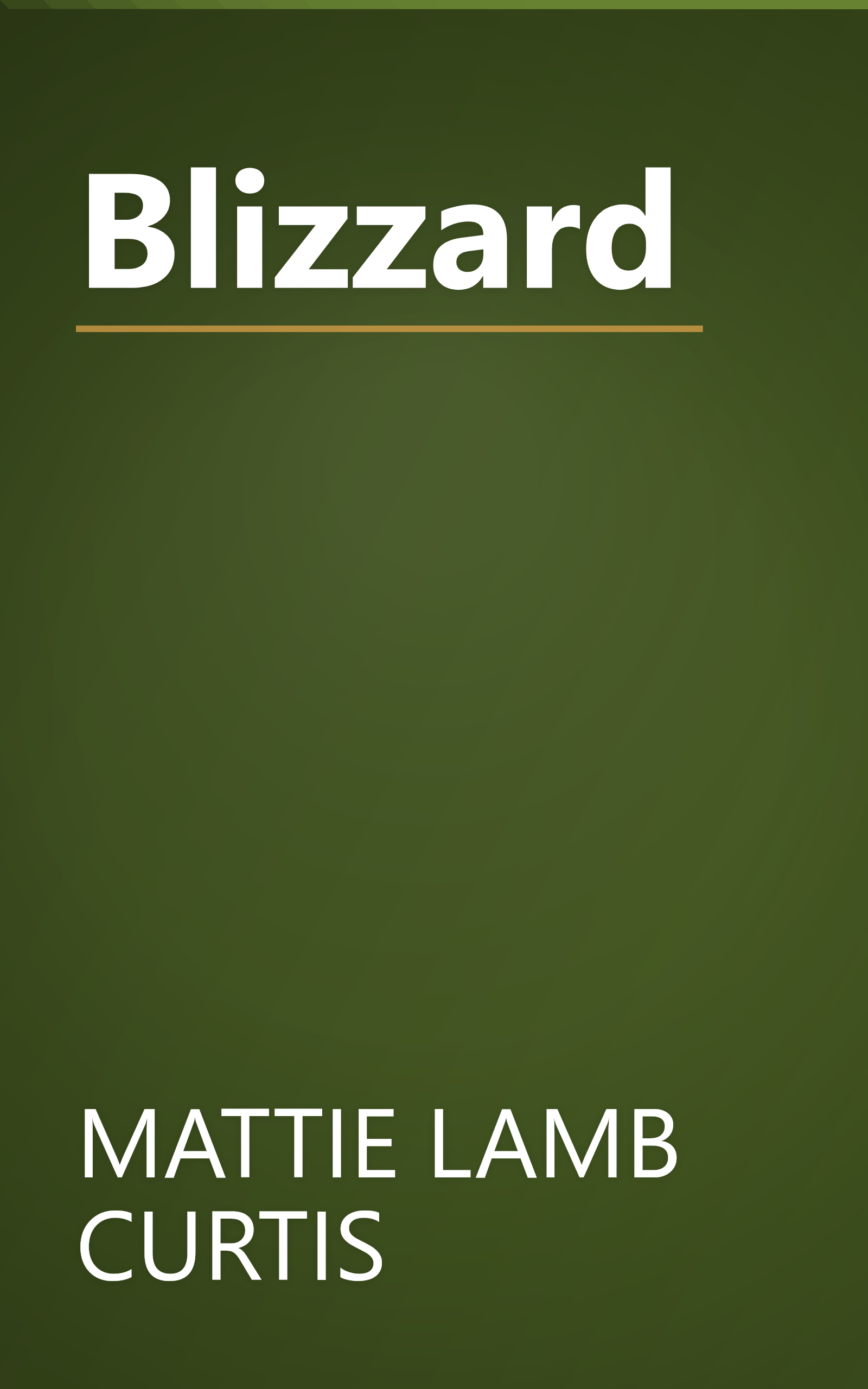 Blizzard book cover