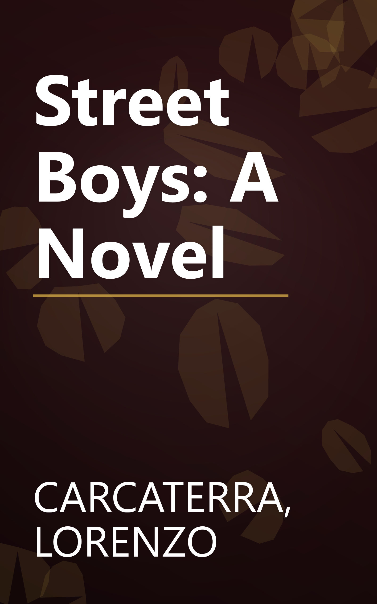 Street Boys: A Novel book cover
