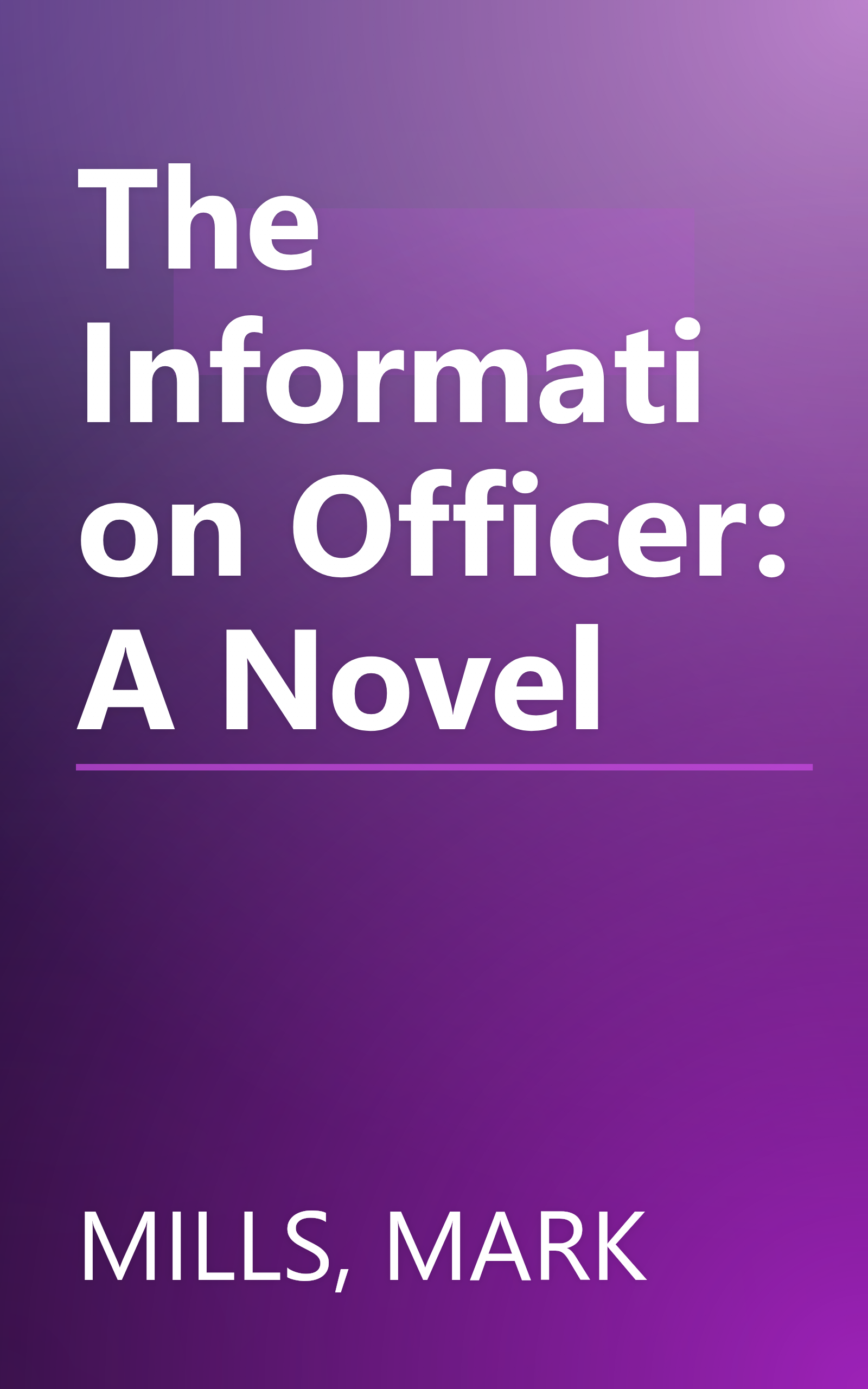 The Information Officer: A Novel book cover