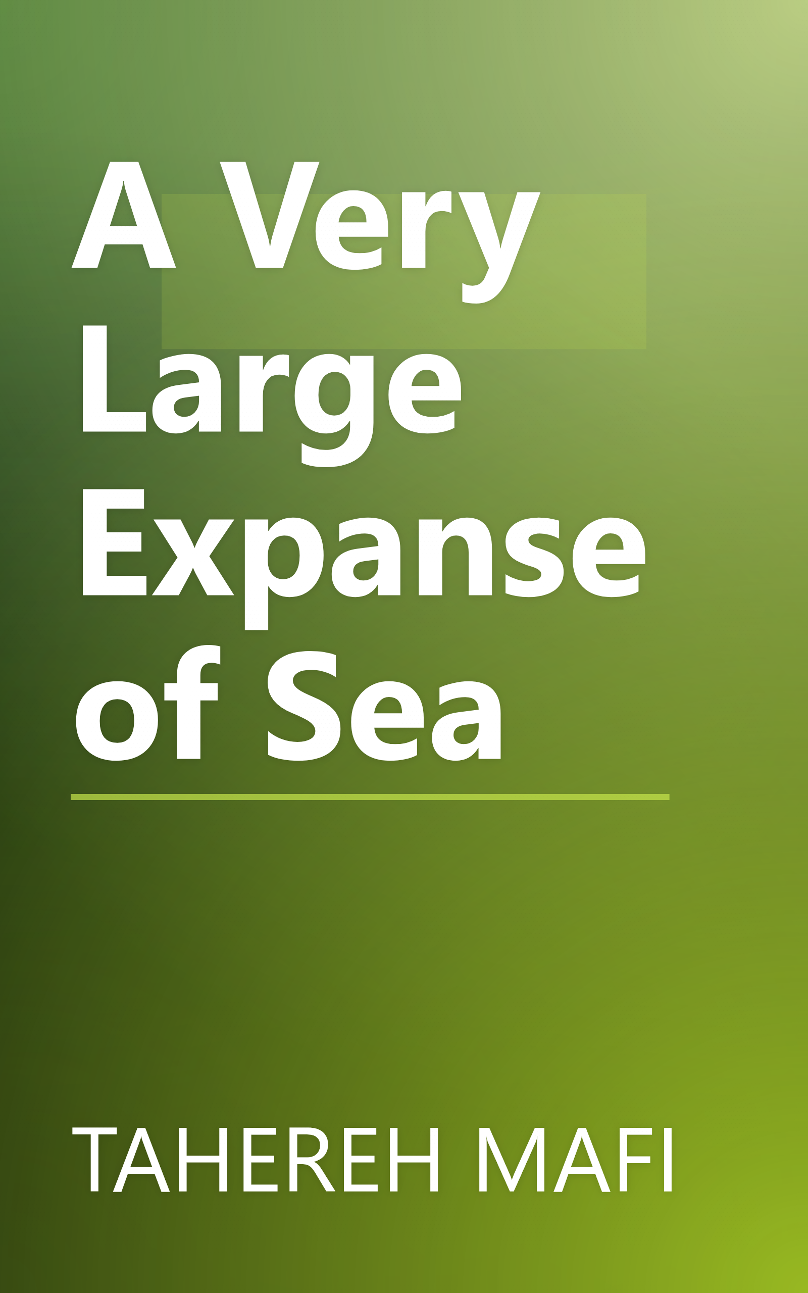A Very Large Expanse of Sea book cover