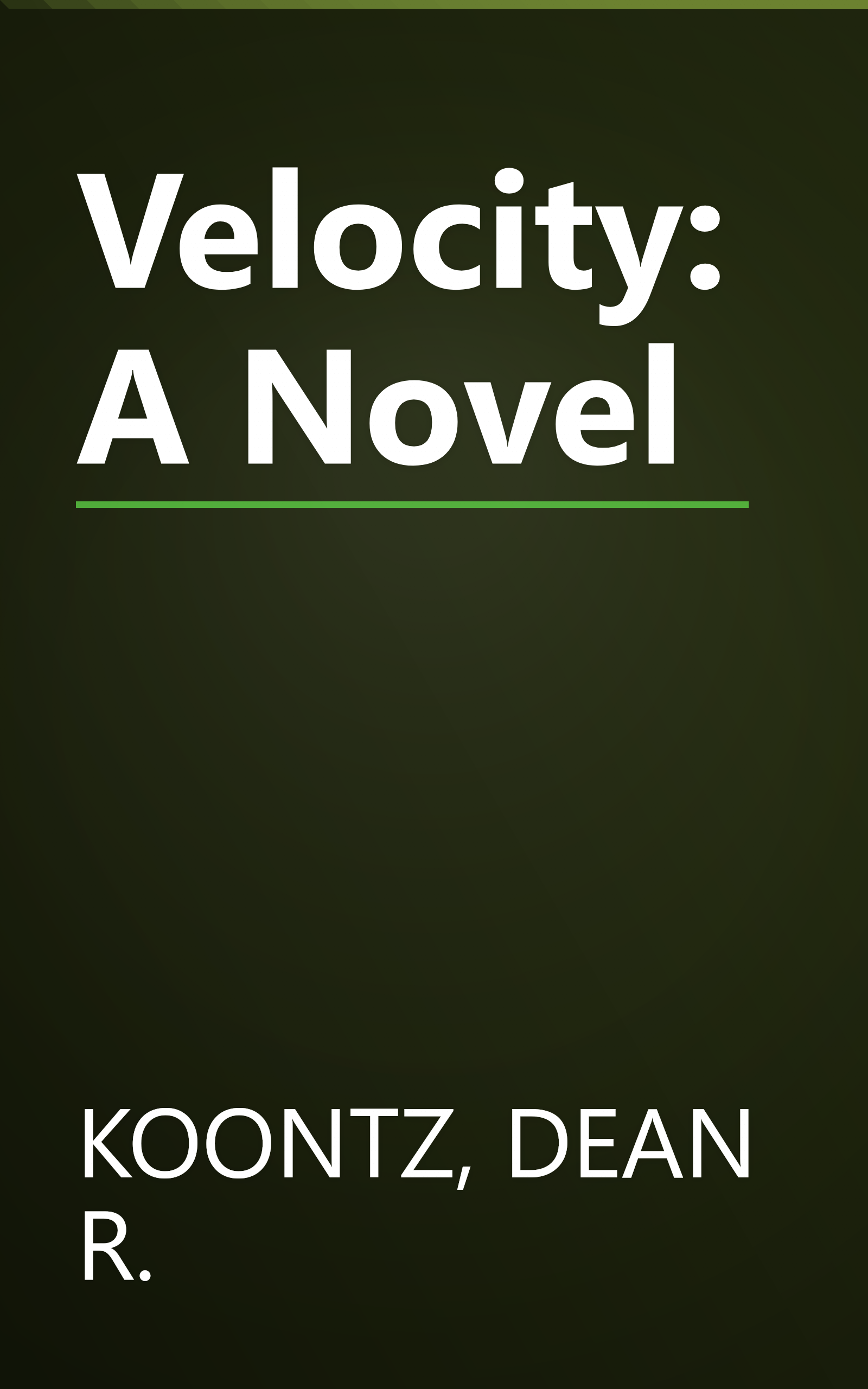 Velocity: A Novel book cover