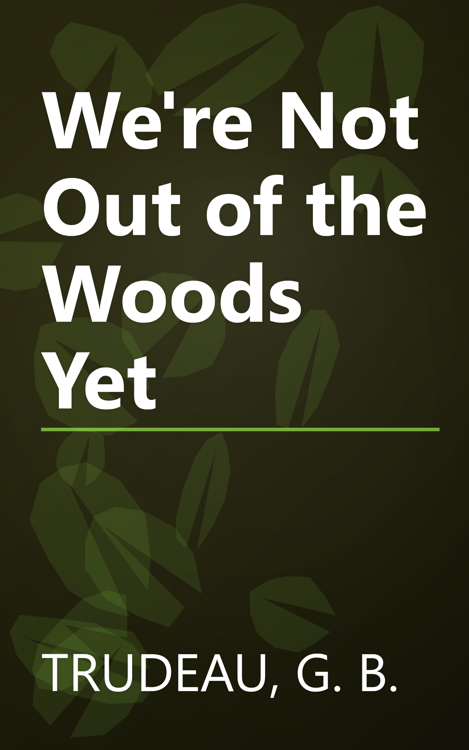 We're Not Out of the Woods Yet book cover