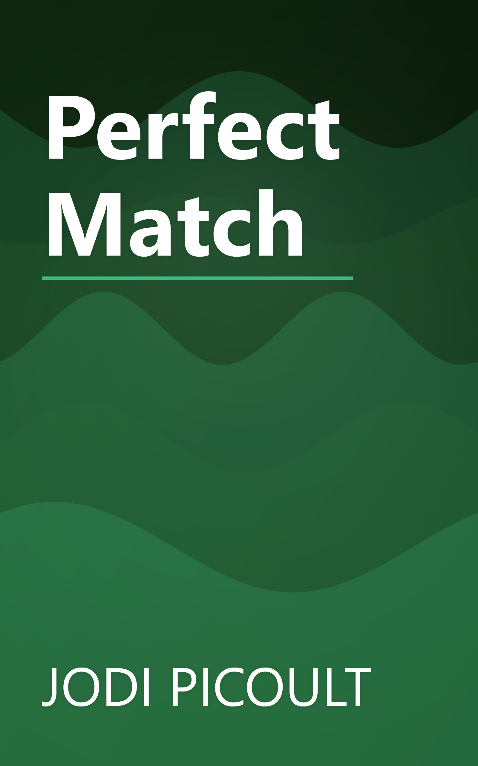 Perfect Match book cover