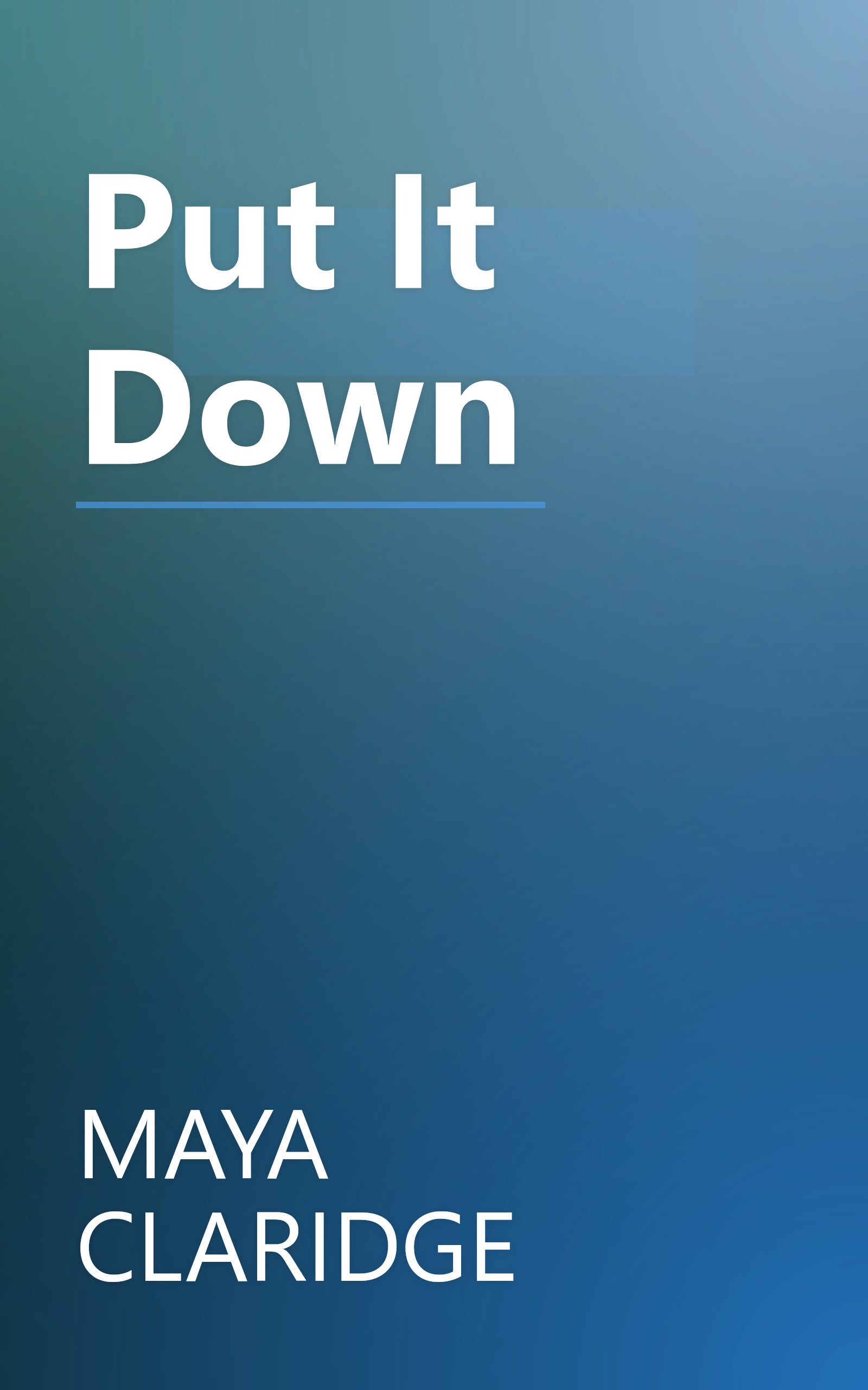 Put It Down book cover