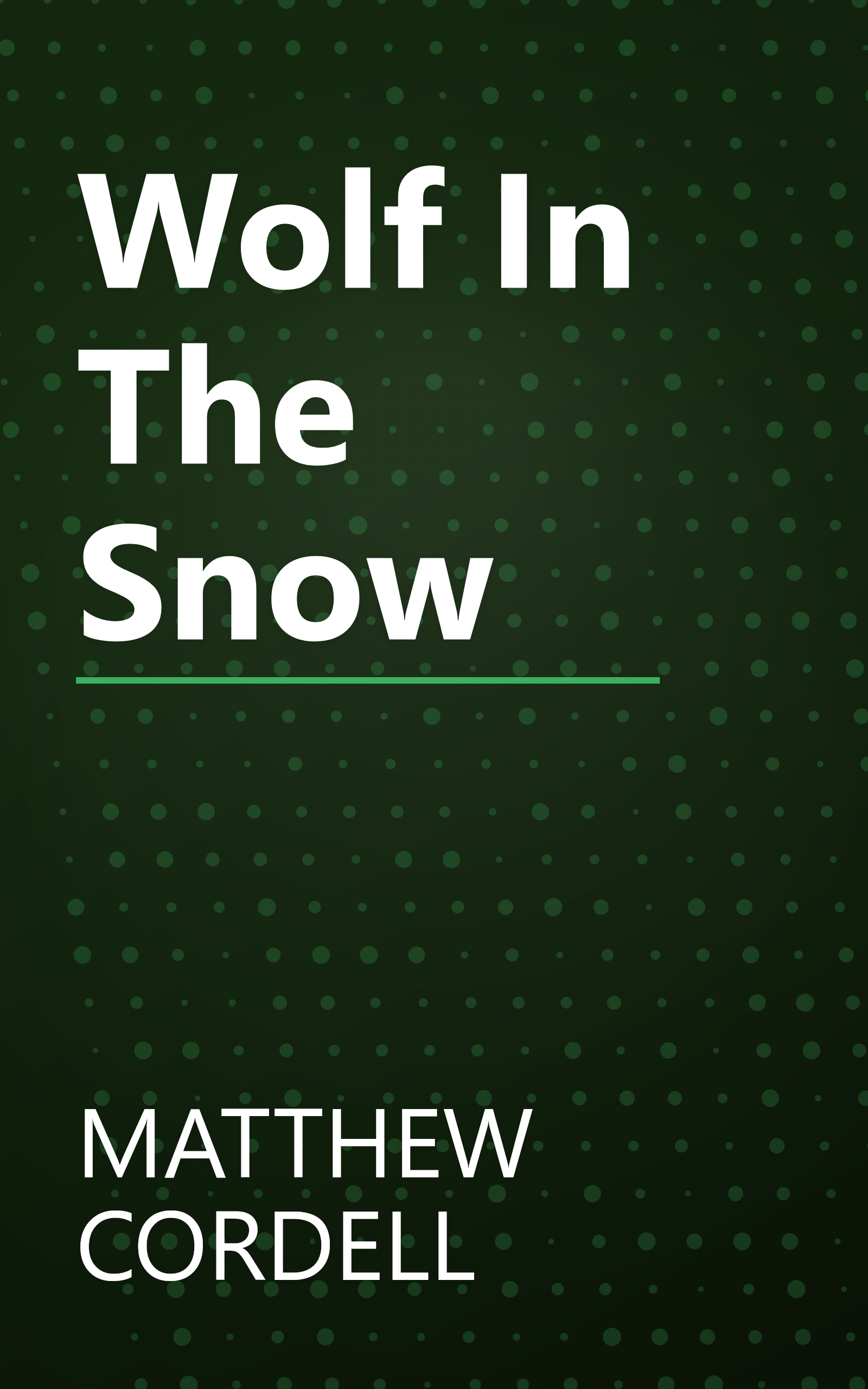 Wolf In The Snow book cover