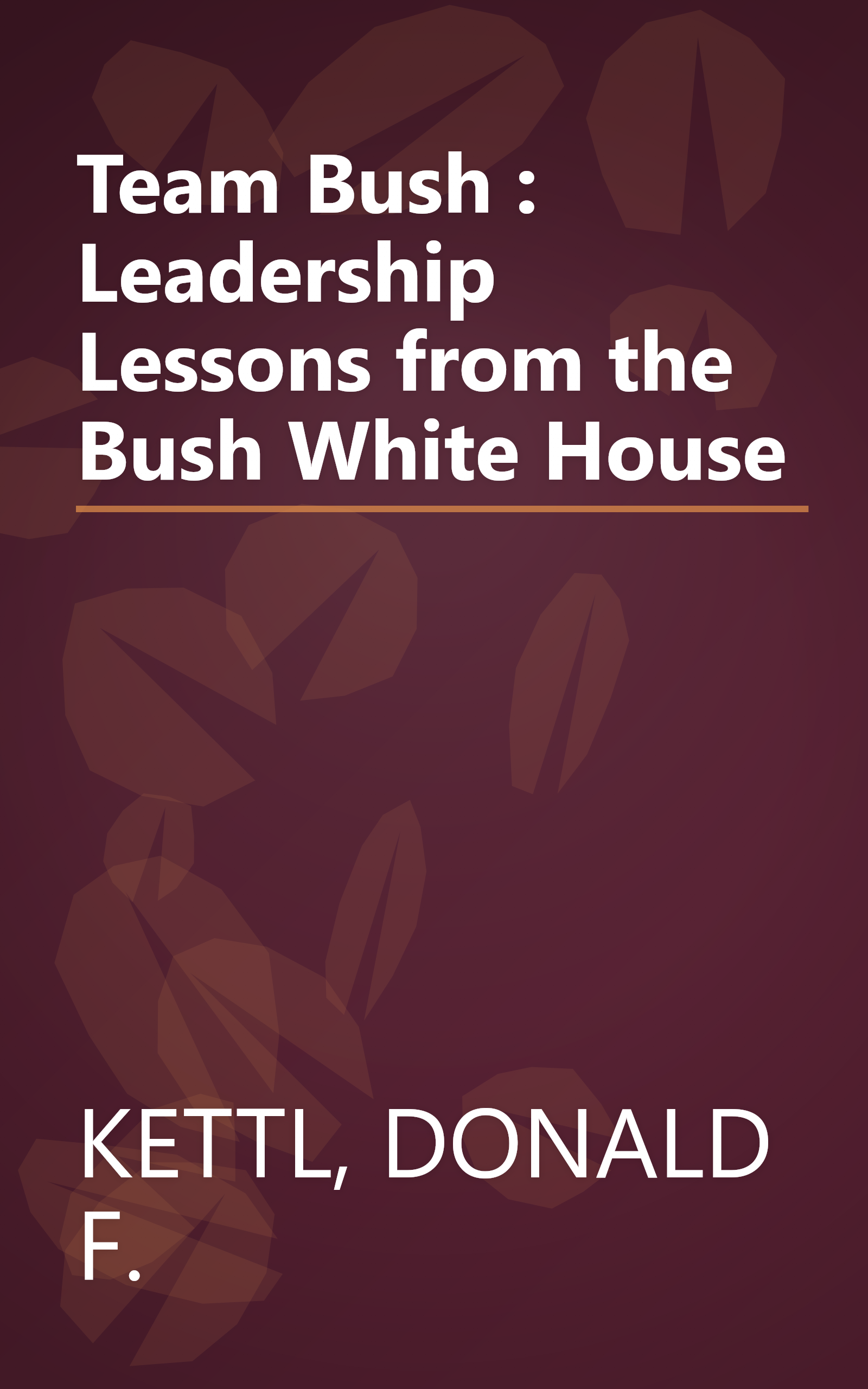 Team Bush : Leadership Lessons from the Bush White House book cover