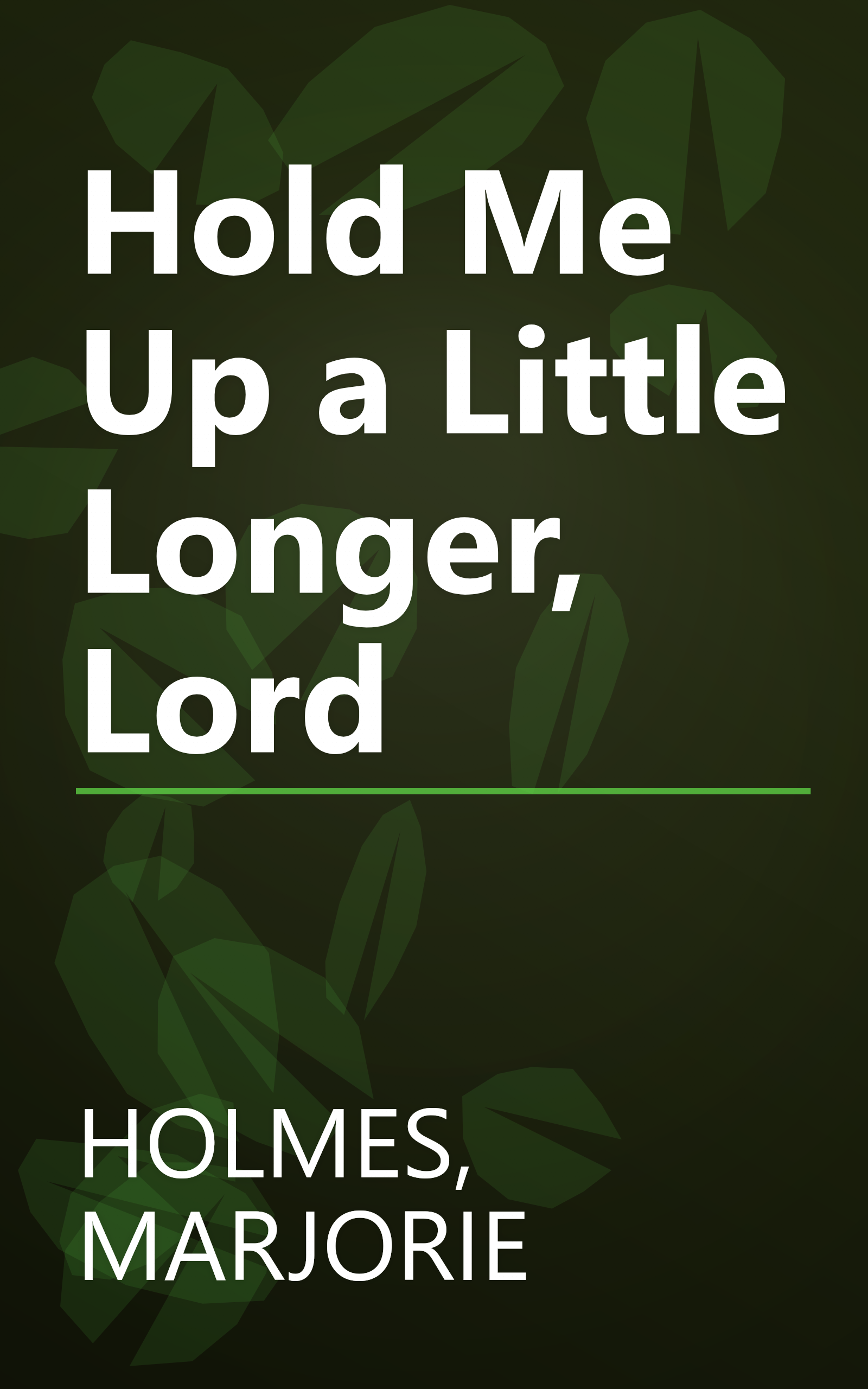 Hold Me Up a Little Longer, Lord book cover