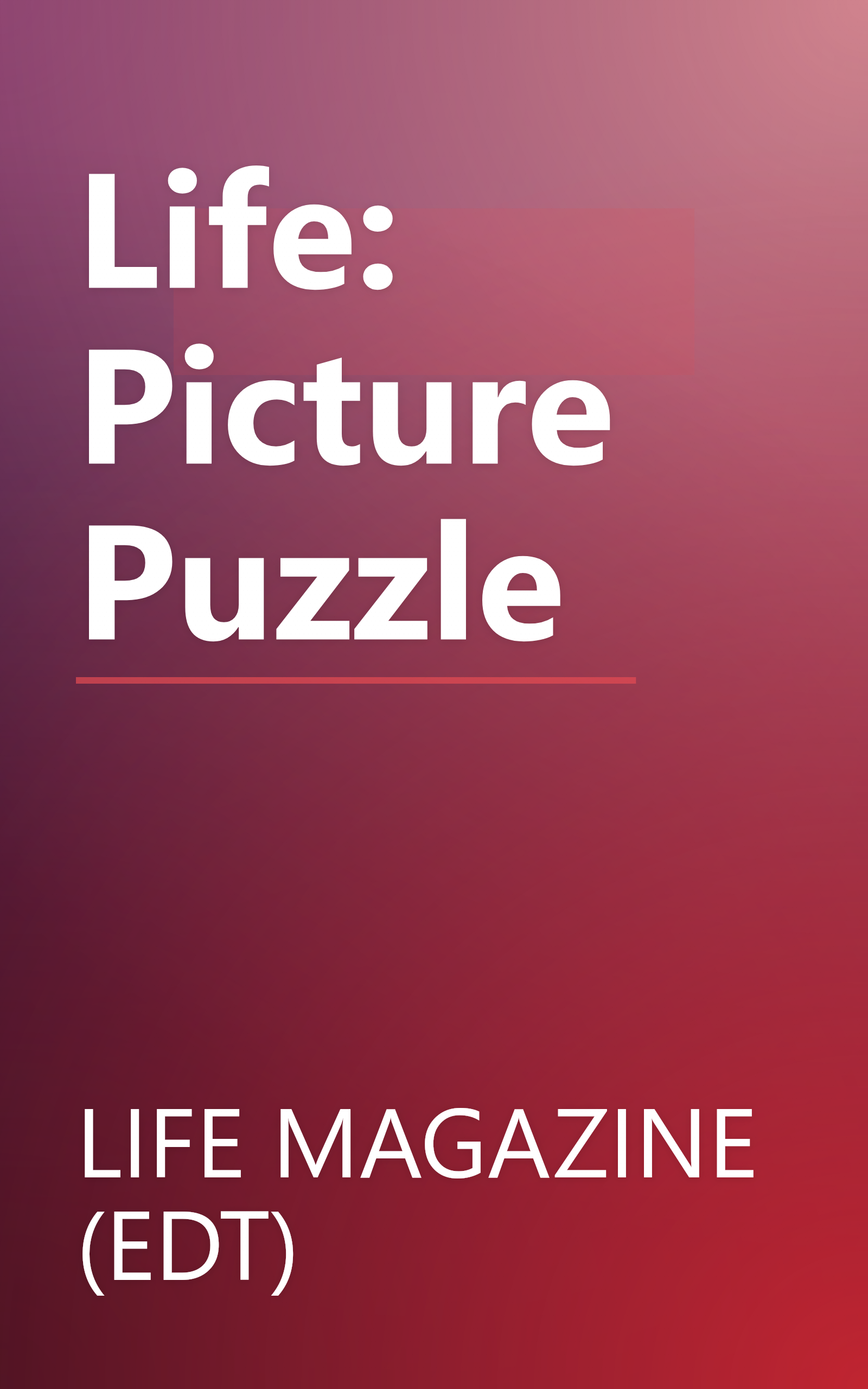 Life: Picture Puzzle book cover