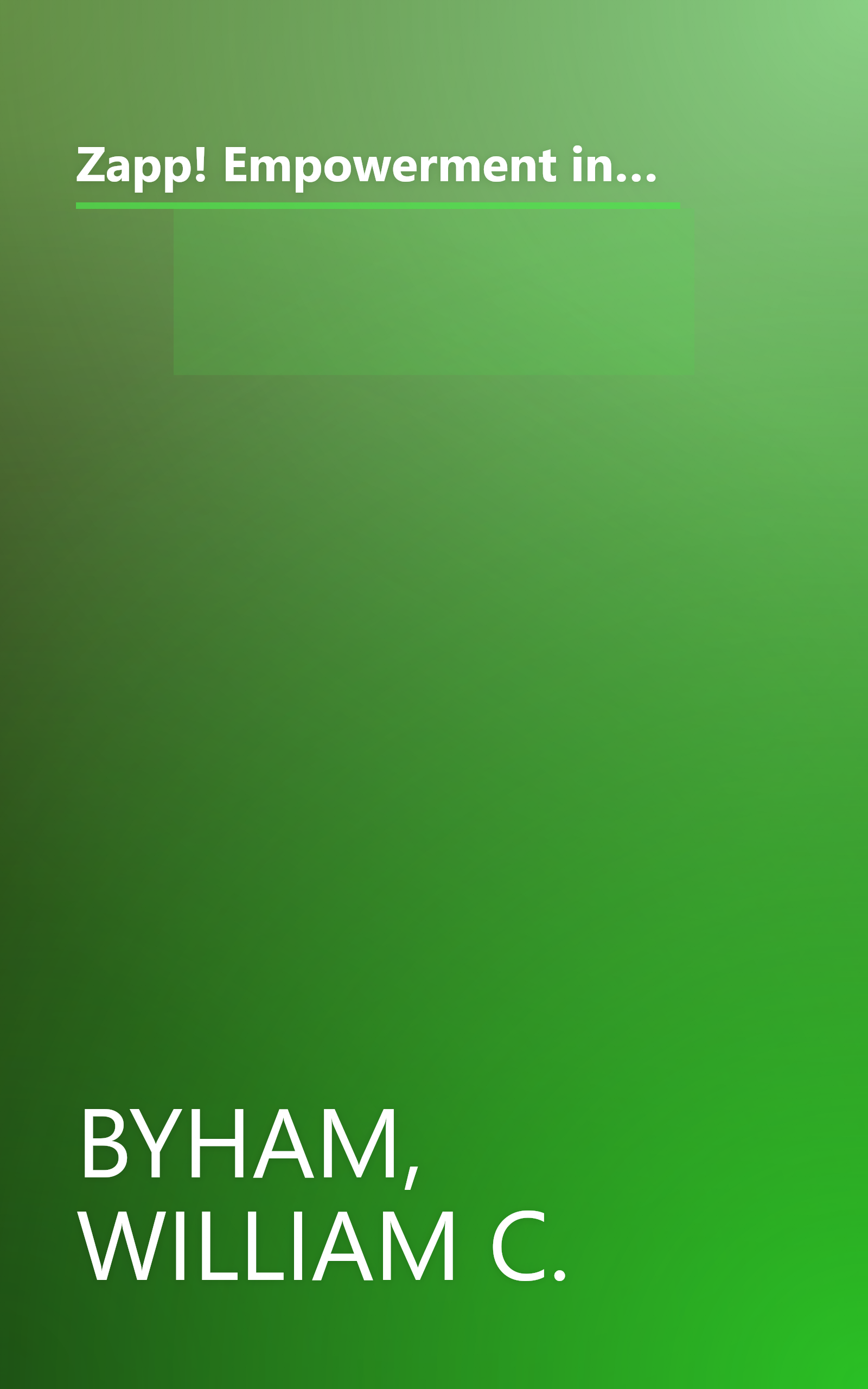 Zapp! Empowerment in Health Care: How to Improve Patient Care, Increase Employee Job Satisfaction, and Lower Health Care Costs book cover