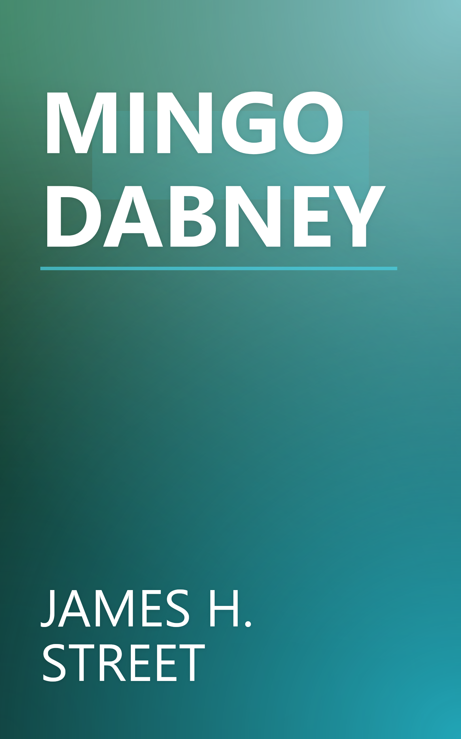 MINGO DABNEY book cover