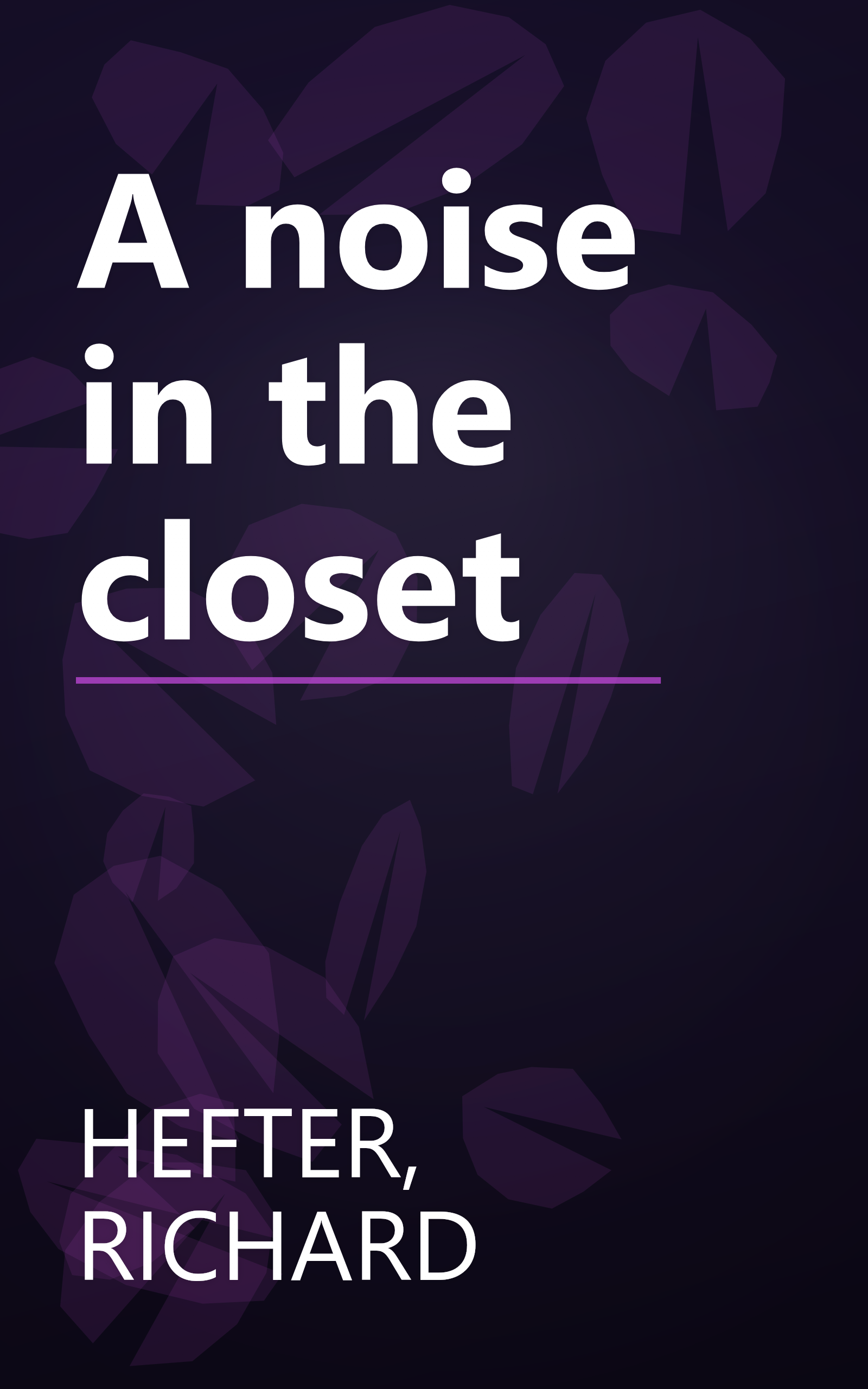 A noise in the closet book cover