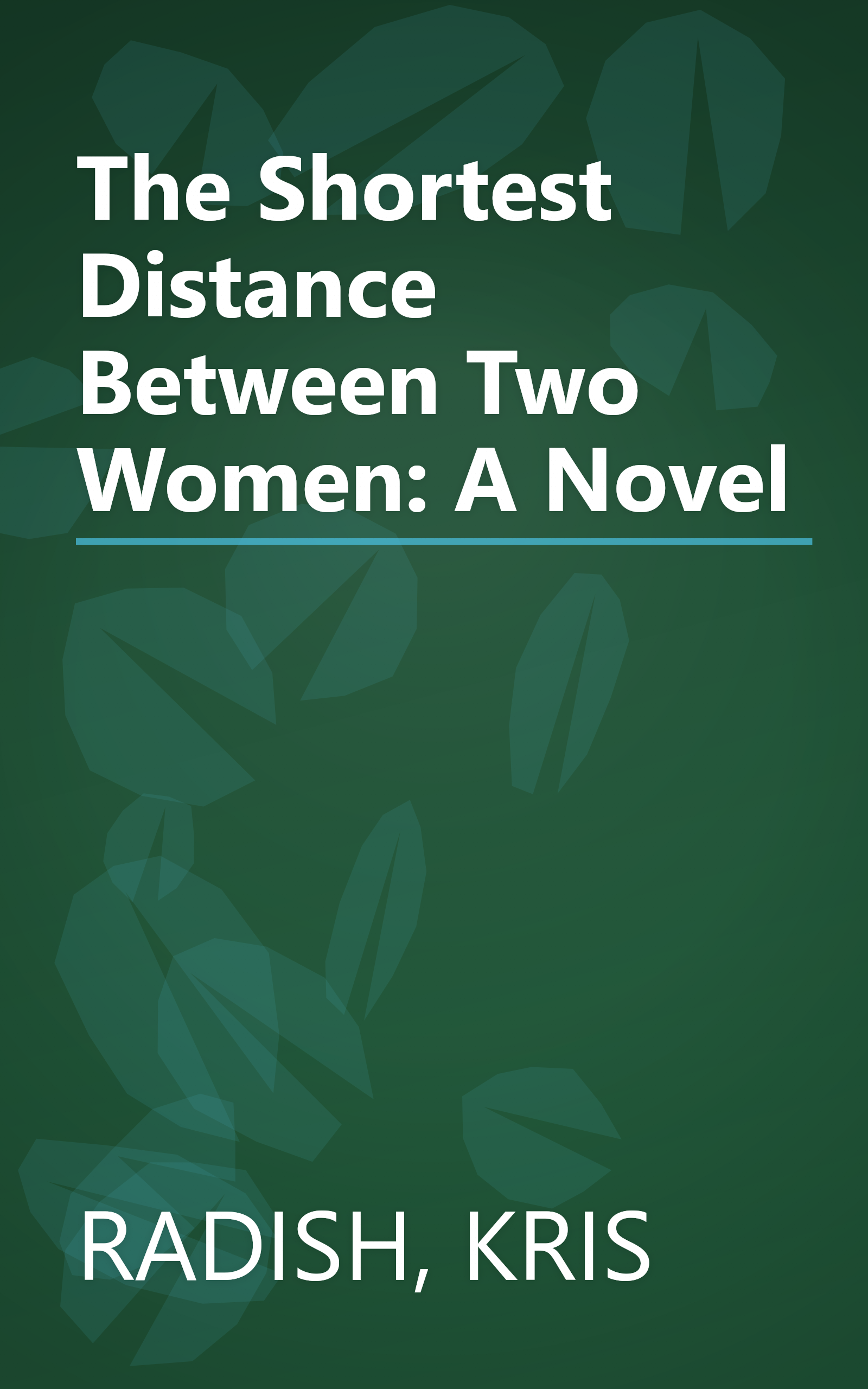 The Shortest Distance Between Two Women: A Novel book cover