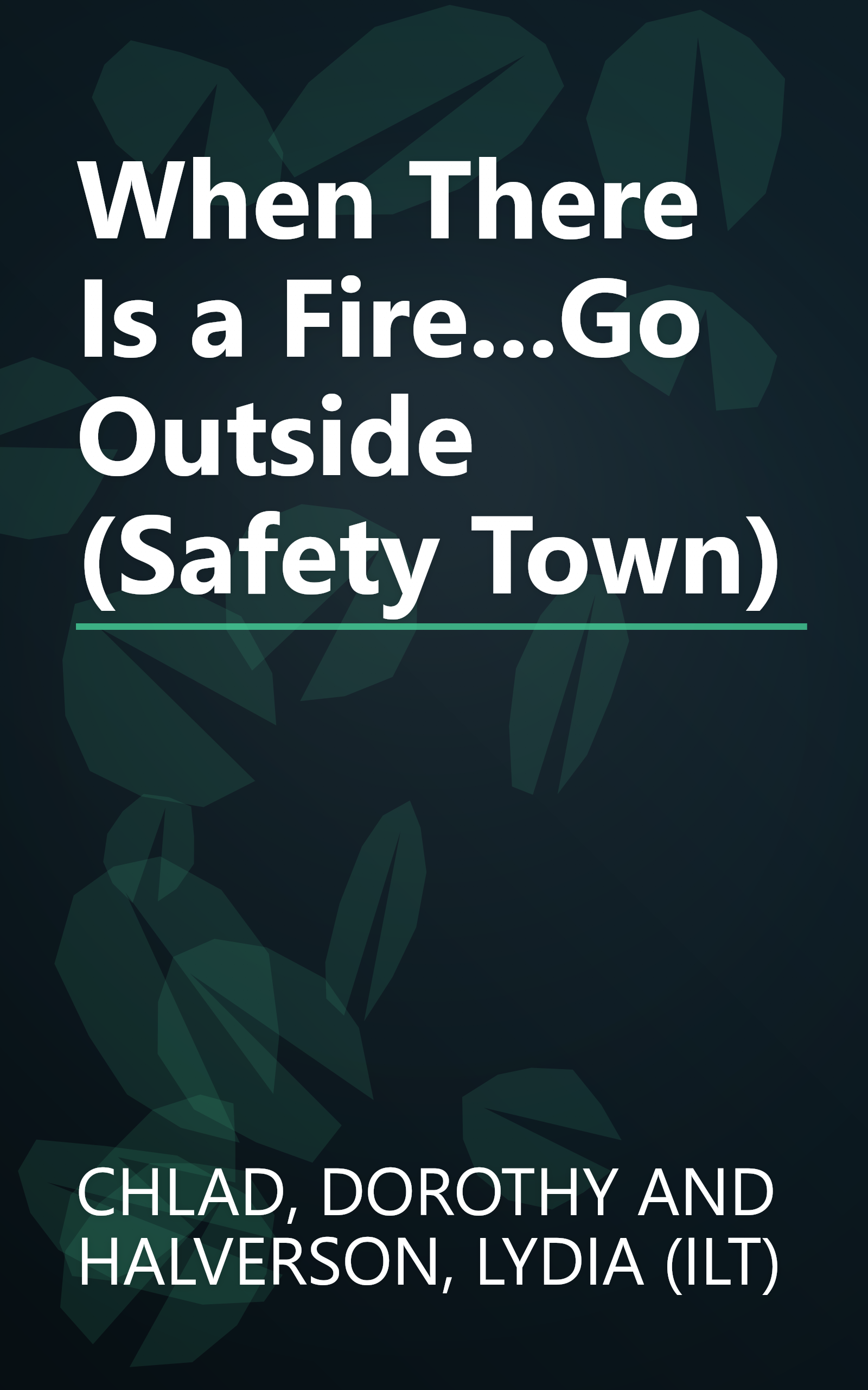 When There Is a Fire...Go Outside (Safety Town) book cover