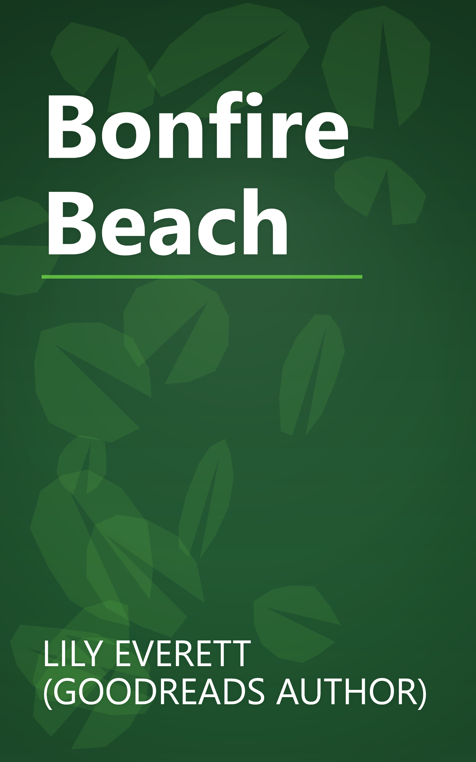 Bonfire Beach book cover