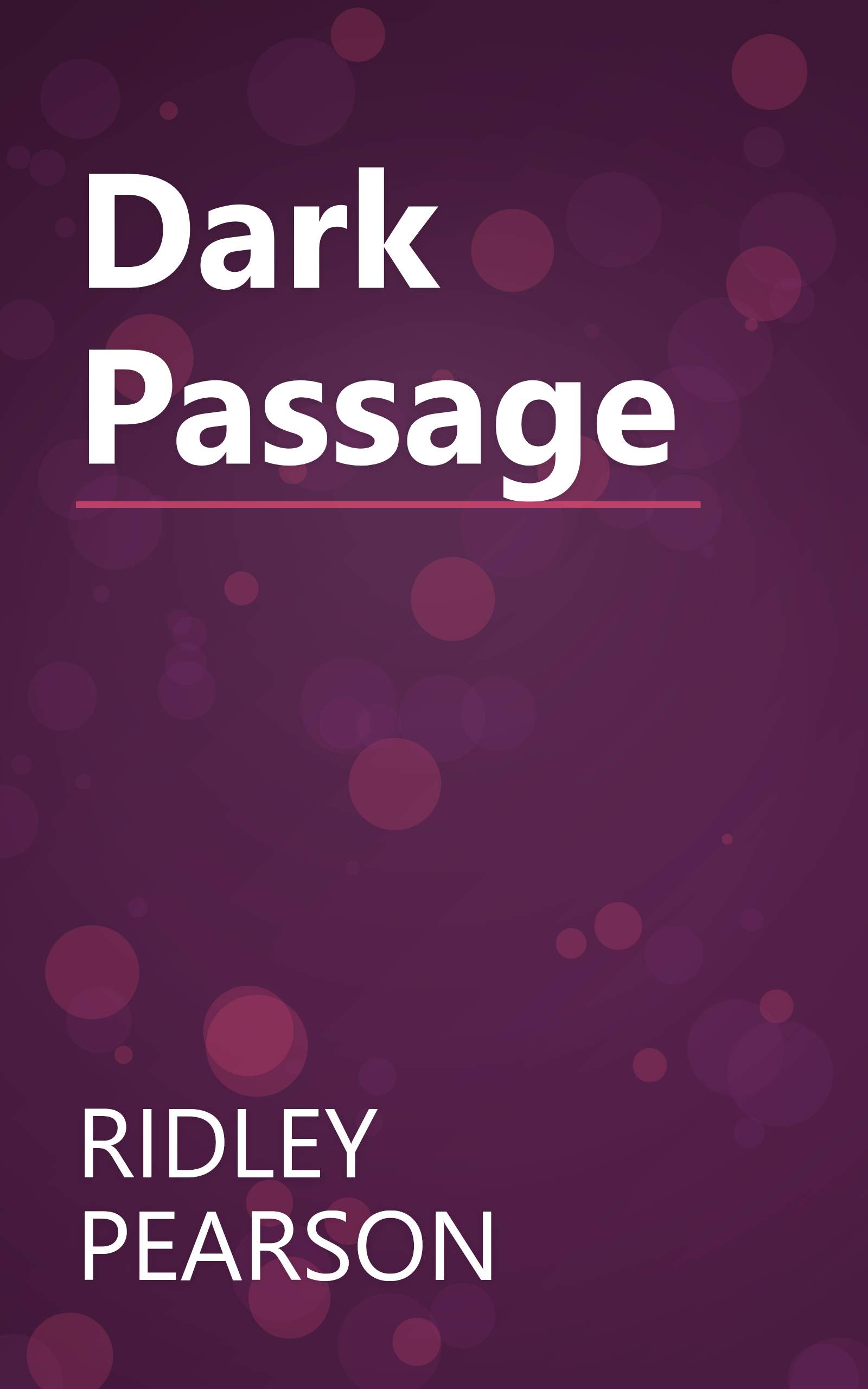 Dark Passage book cover
