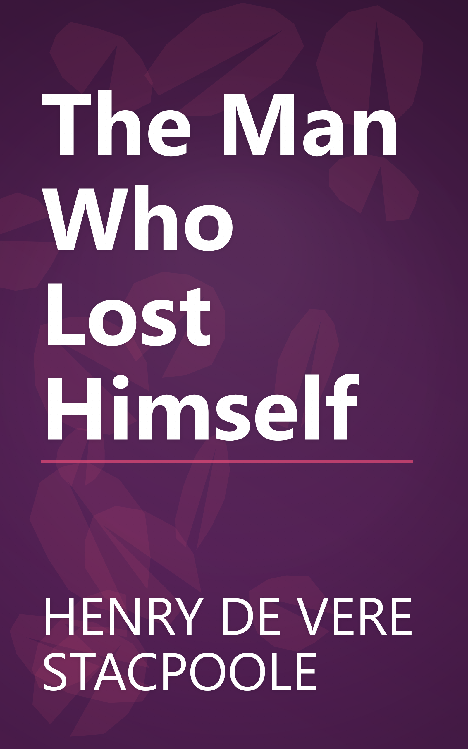 The Man Who Lost Himself book cover