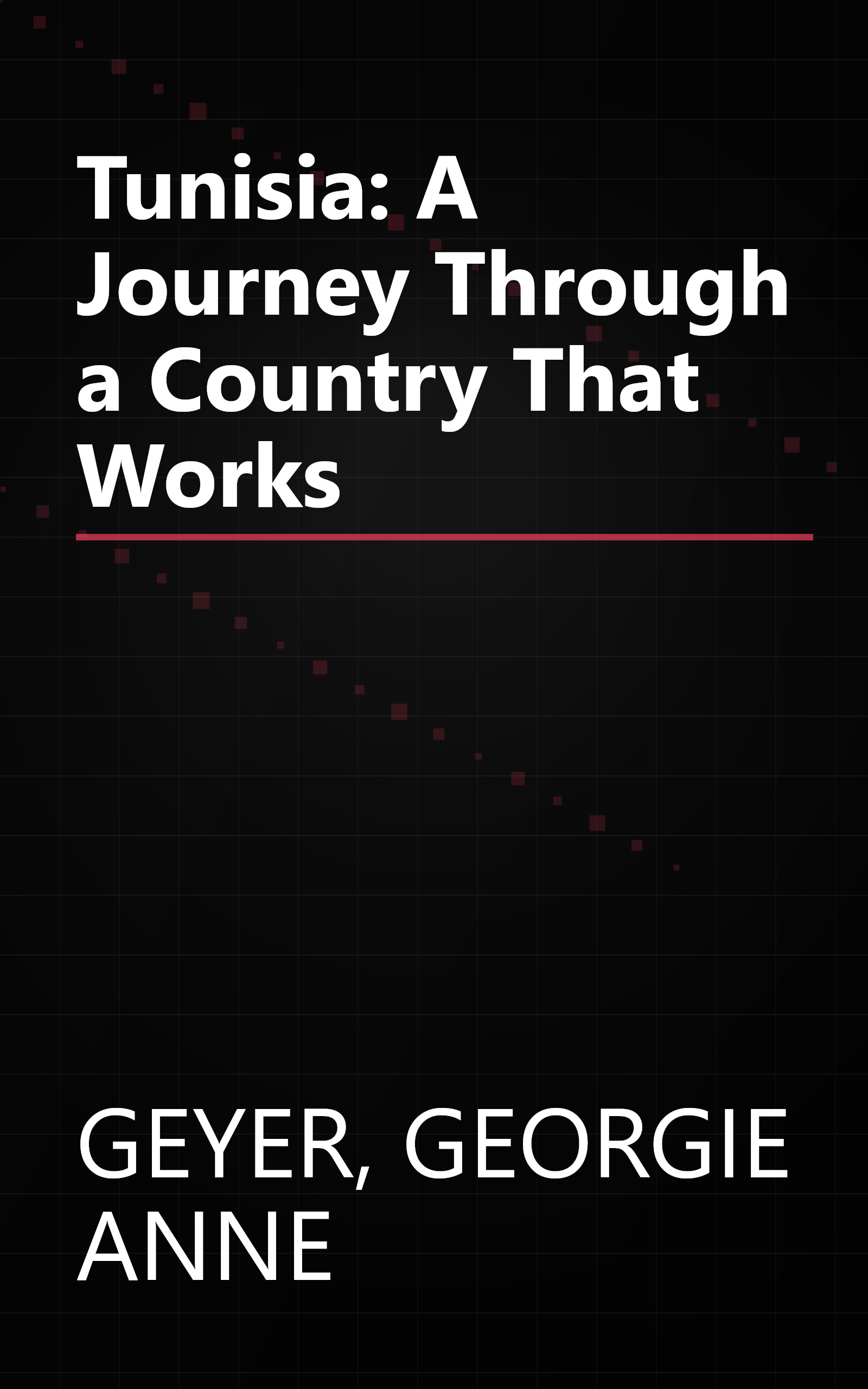 Tunisia: A Journey Through a Country That Works book cover