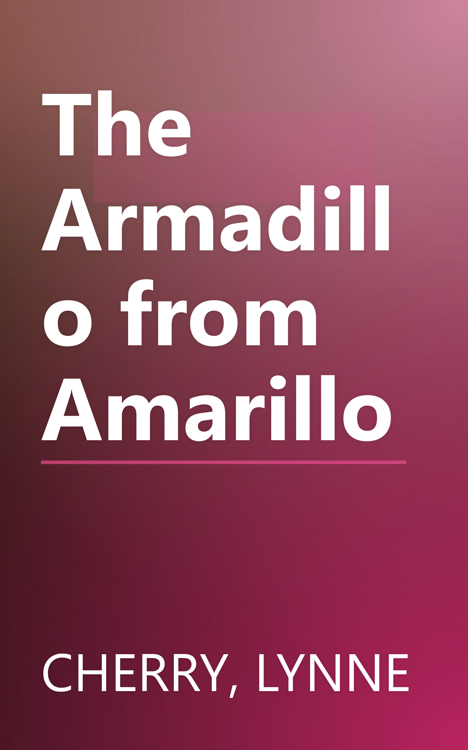 The Armadillo from Amarillo book cover