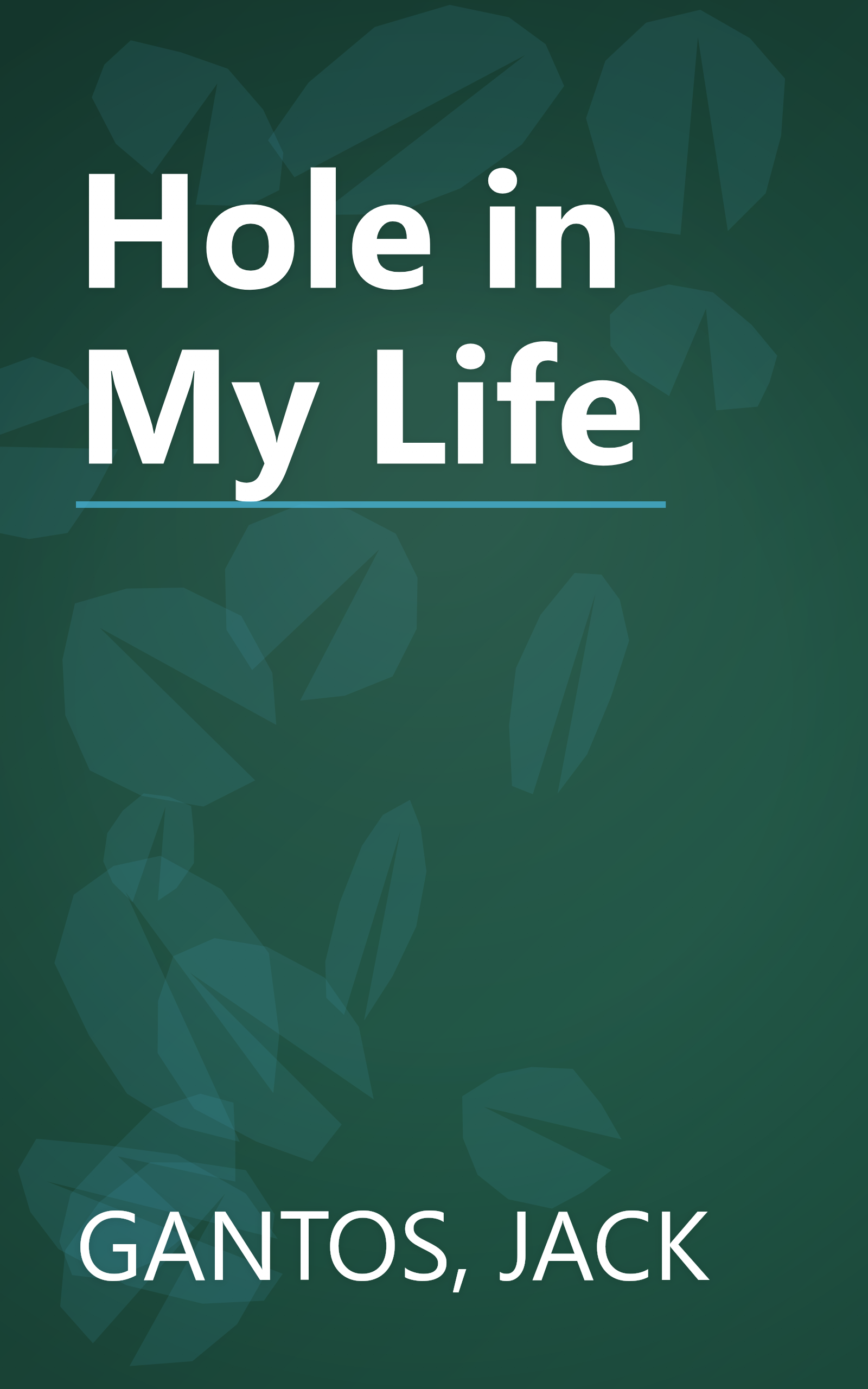 Hole in My Life book cover