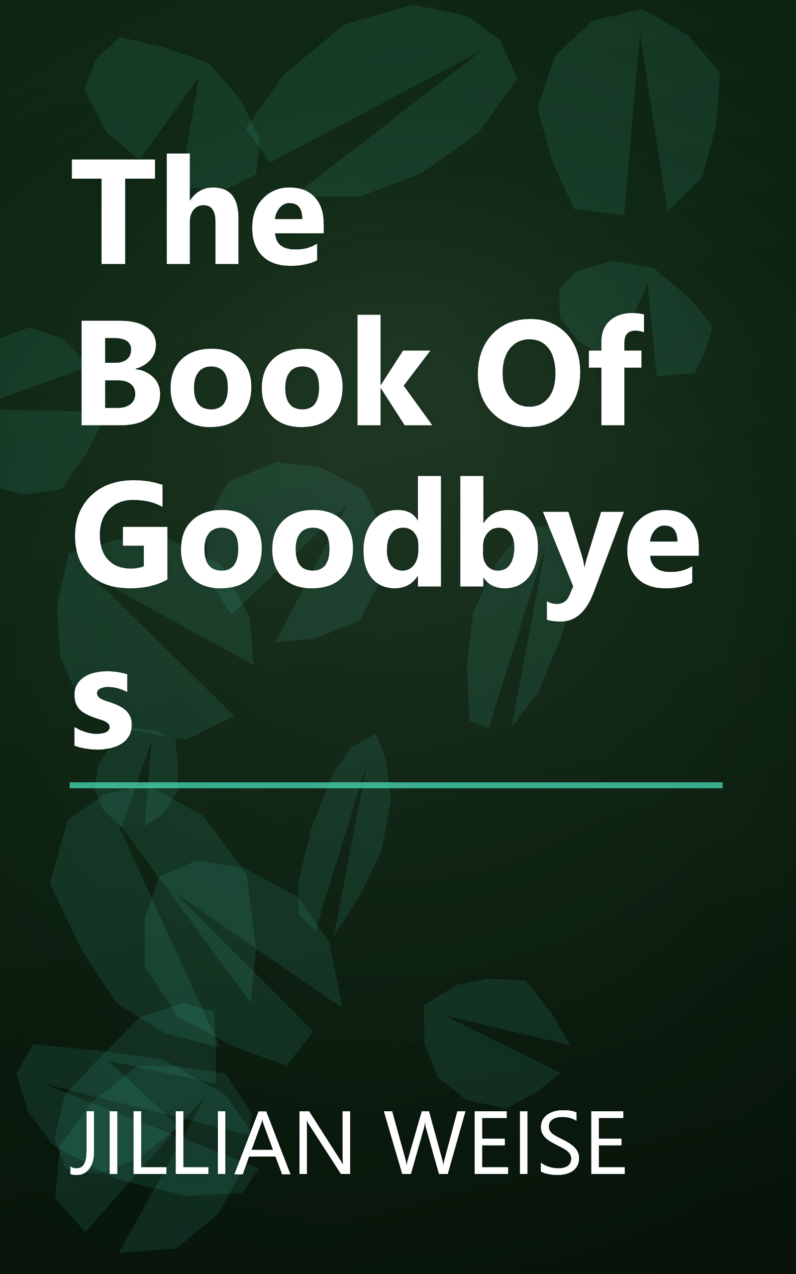 The Book Of Goodbyes book cover