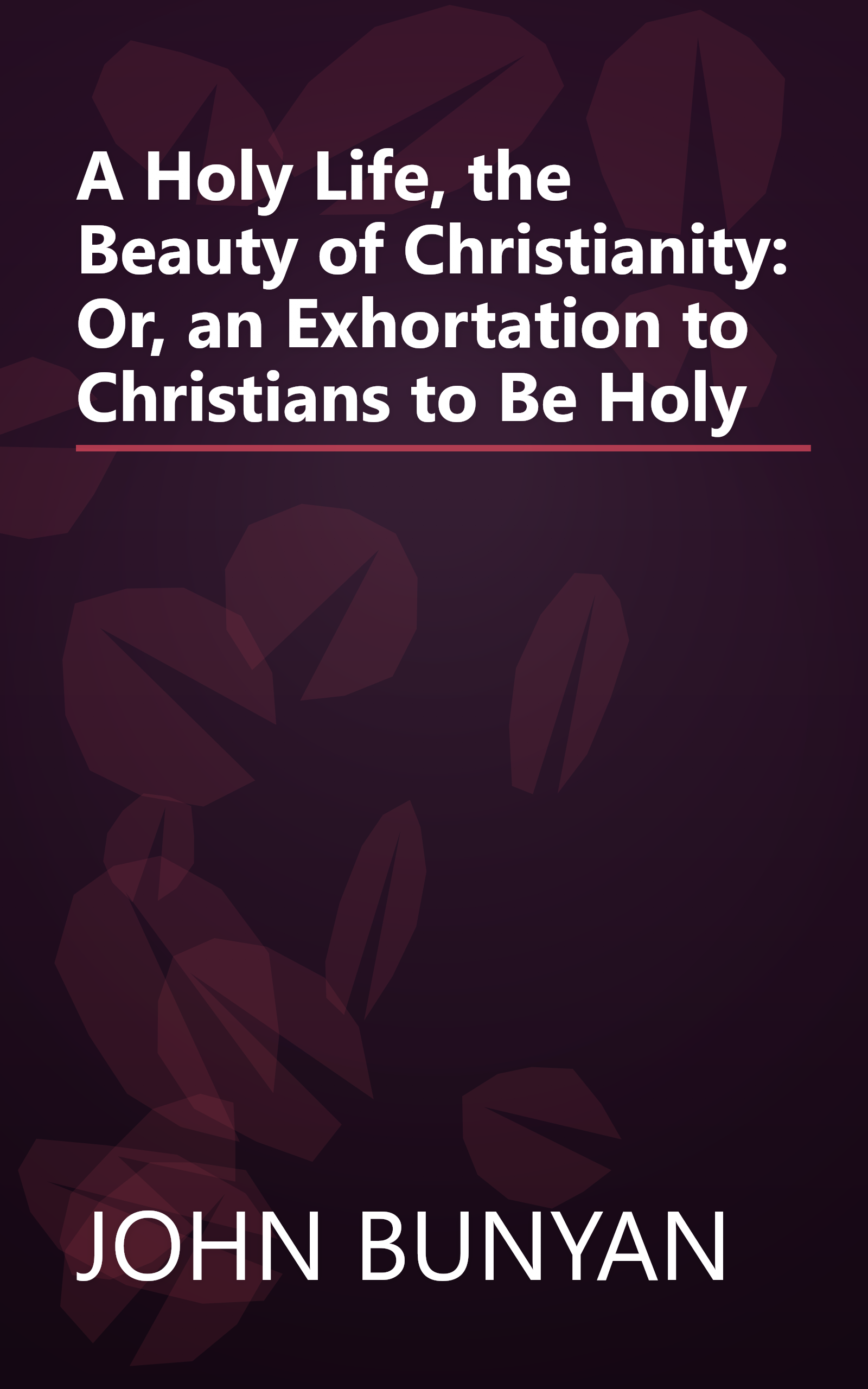 A Holy Life, the Beauty of Christianity: Or, an Exhortation to Christians to Be Holy book cover