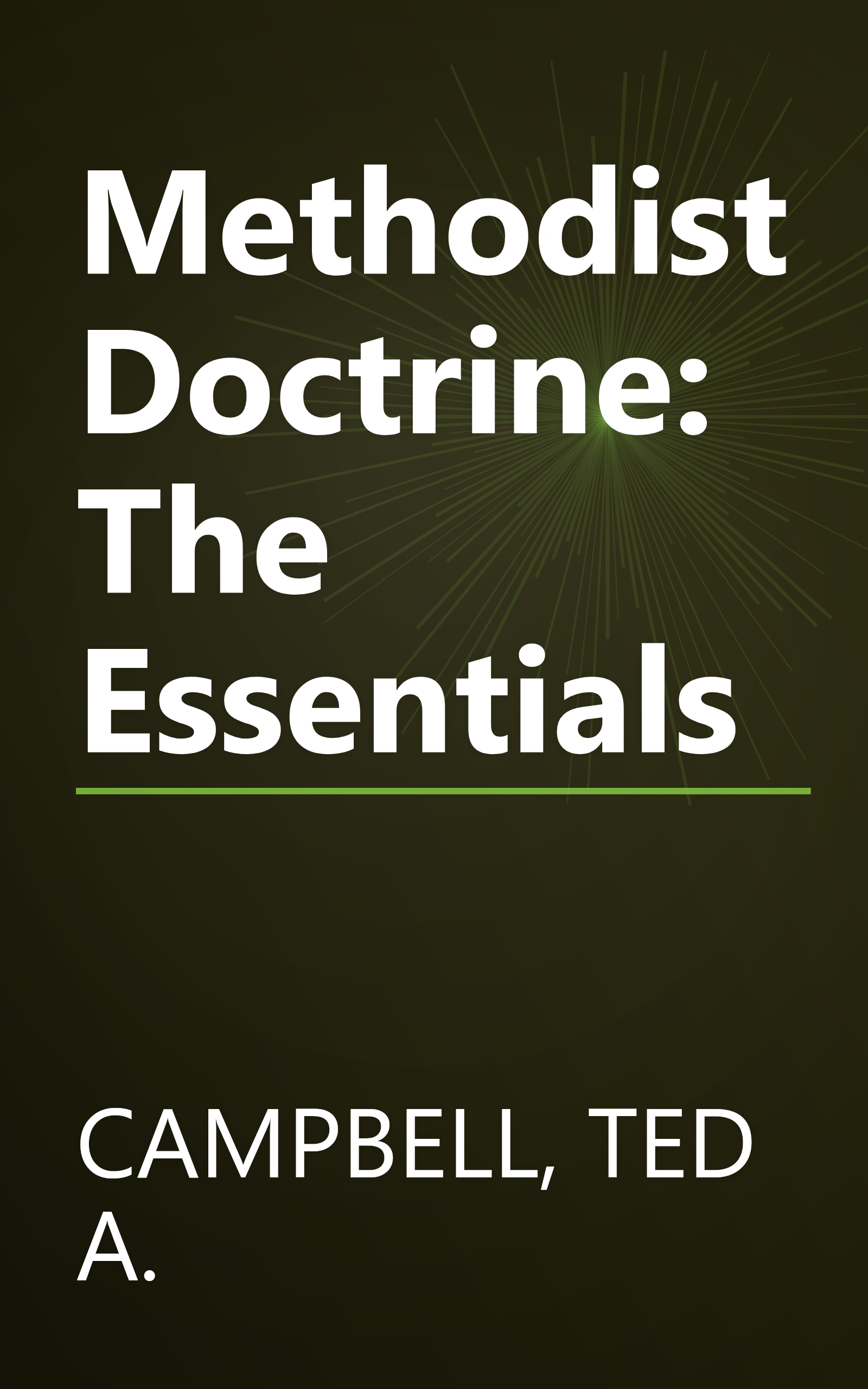 Methodist Doctrine: The Essentials book cover