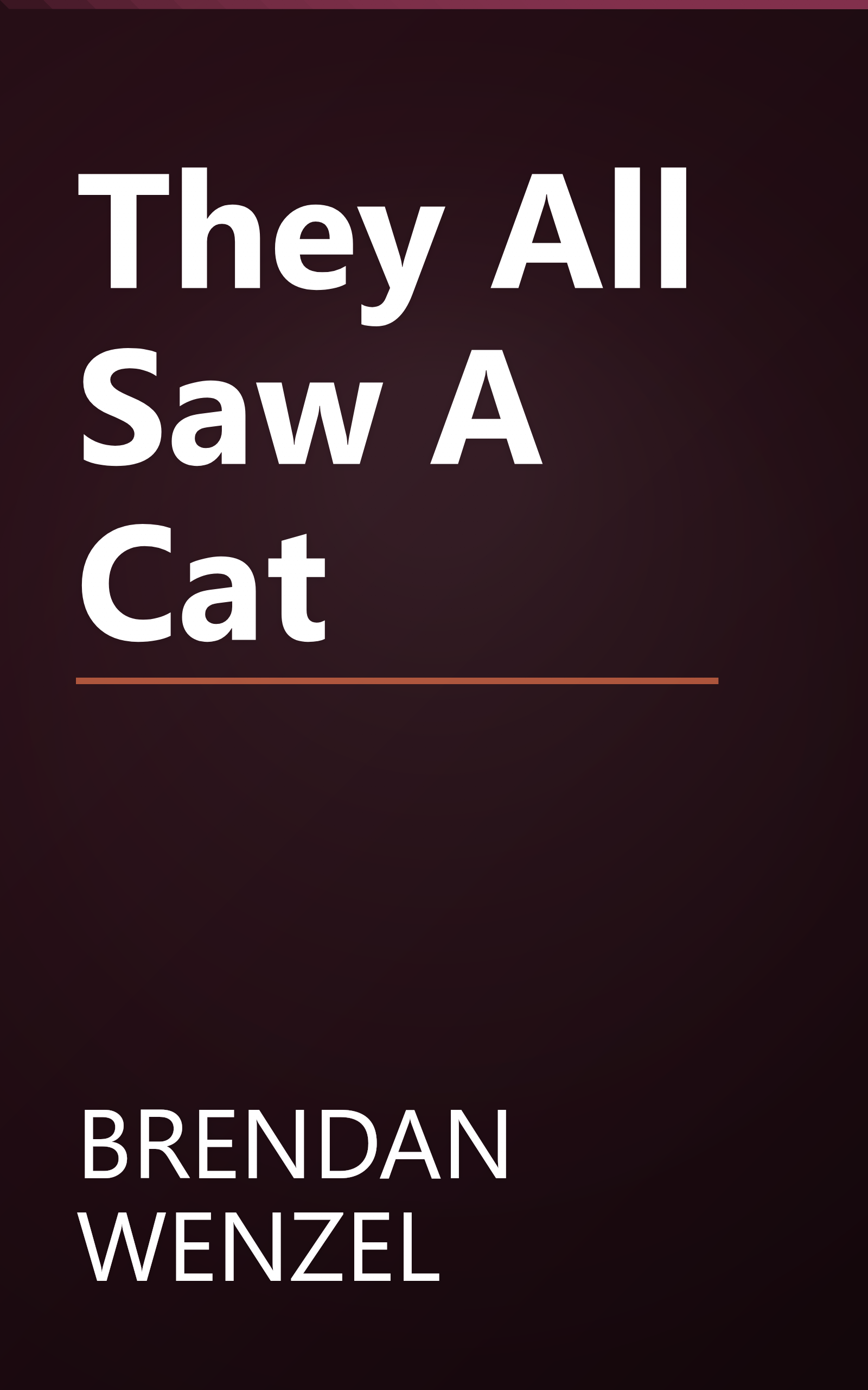 They All Saw A Cat book cover