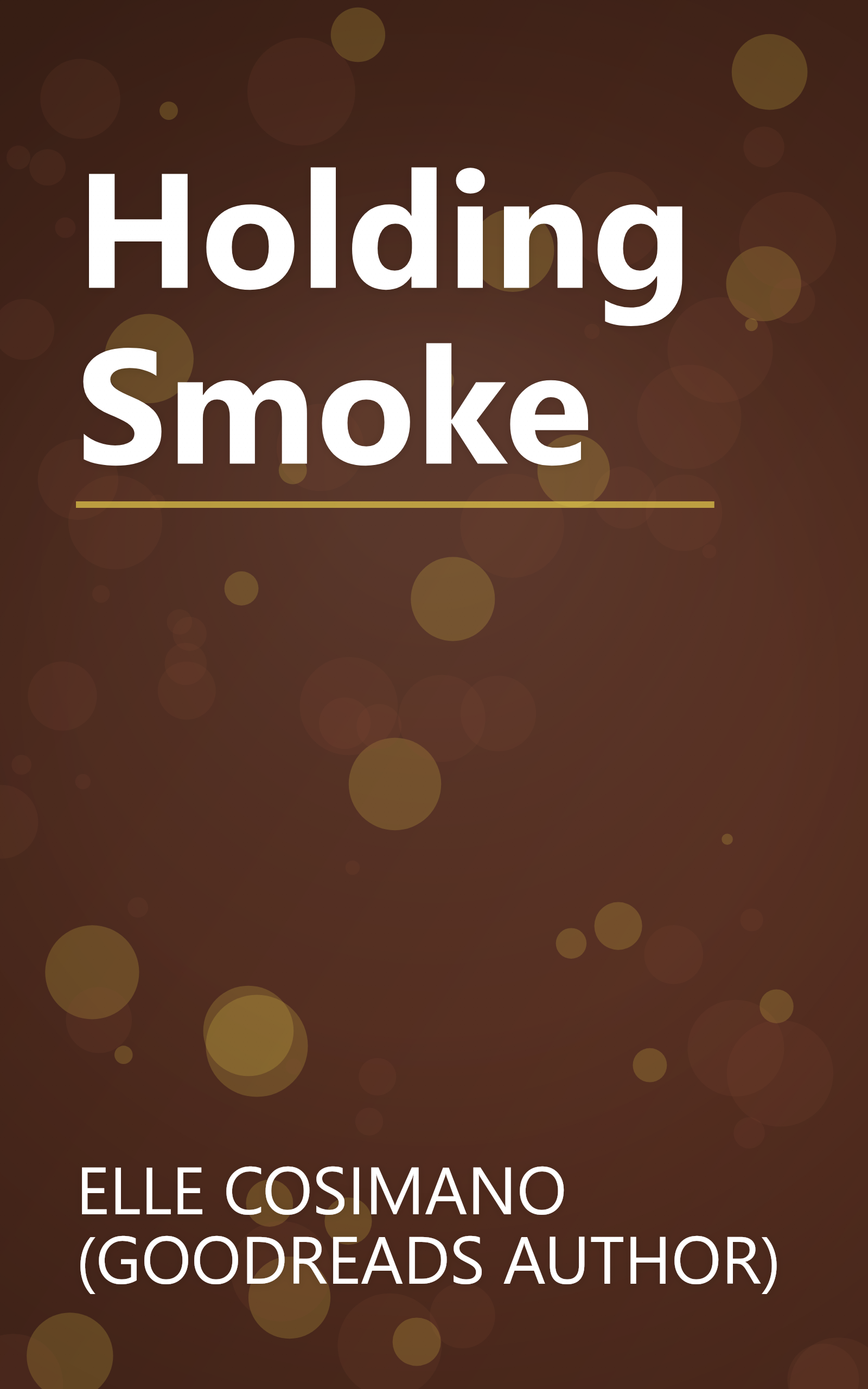 Holding Smoke book cover