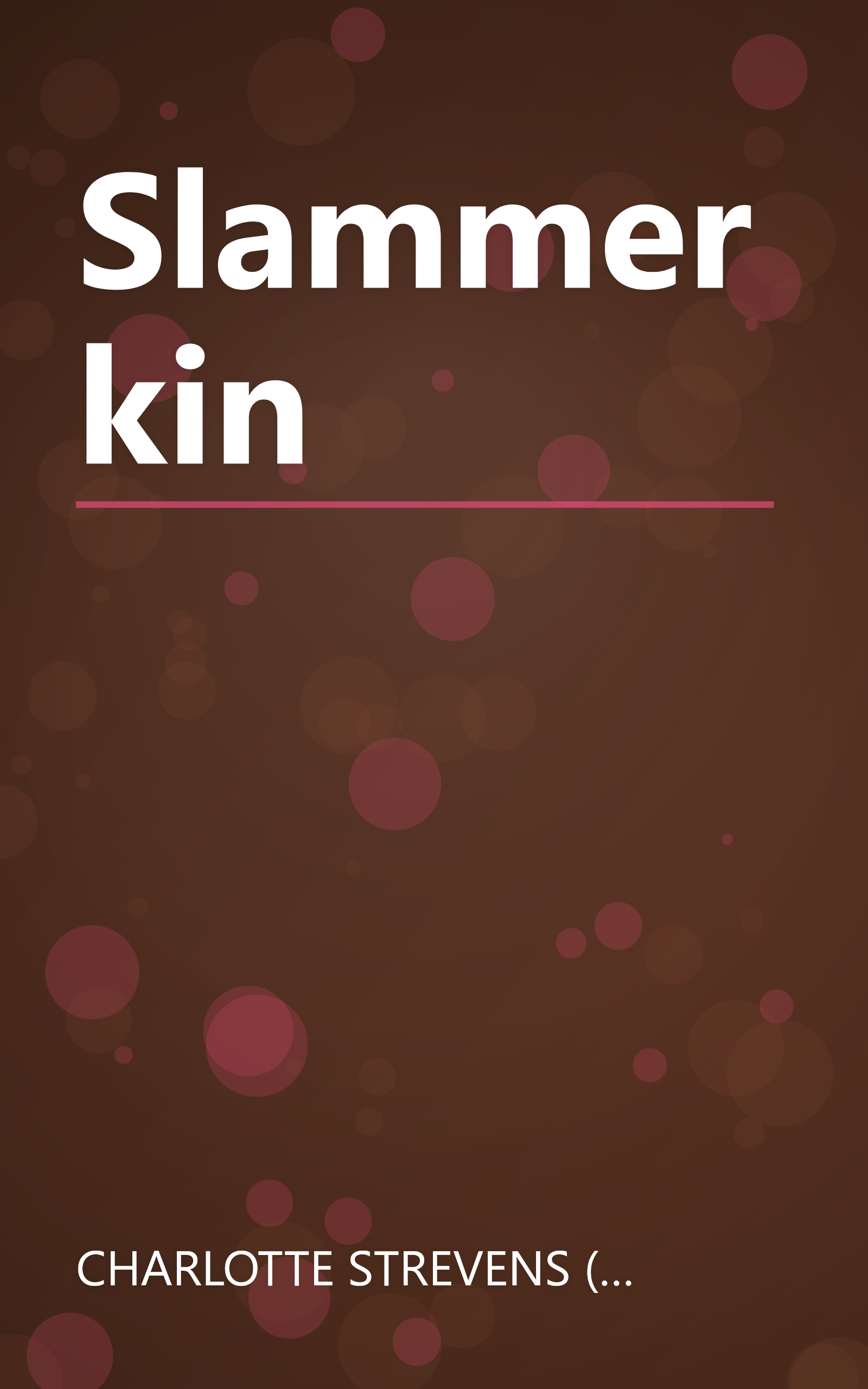 Slammerkin book cover