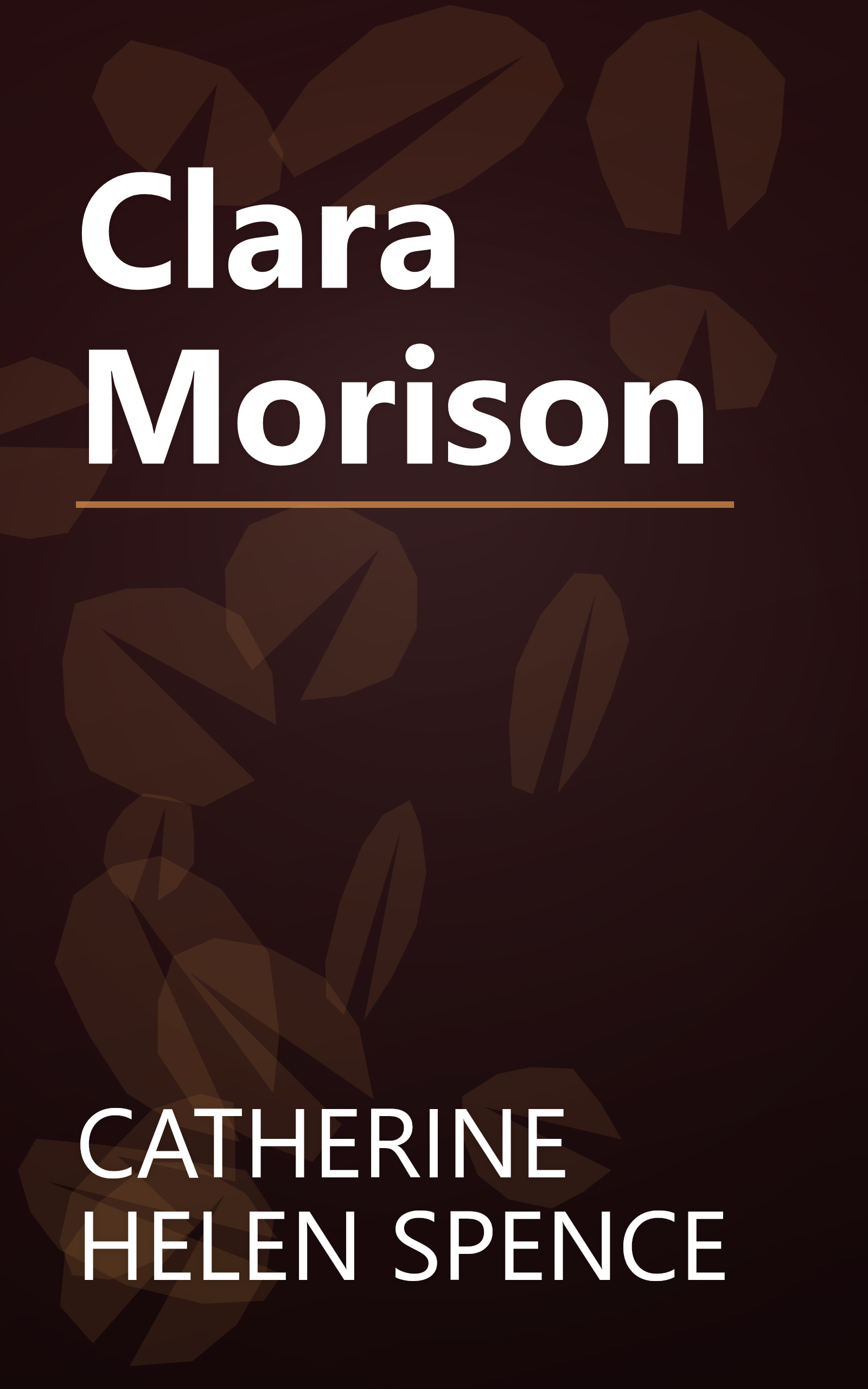 Clara Morison book cover