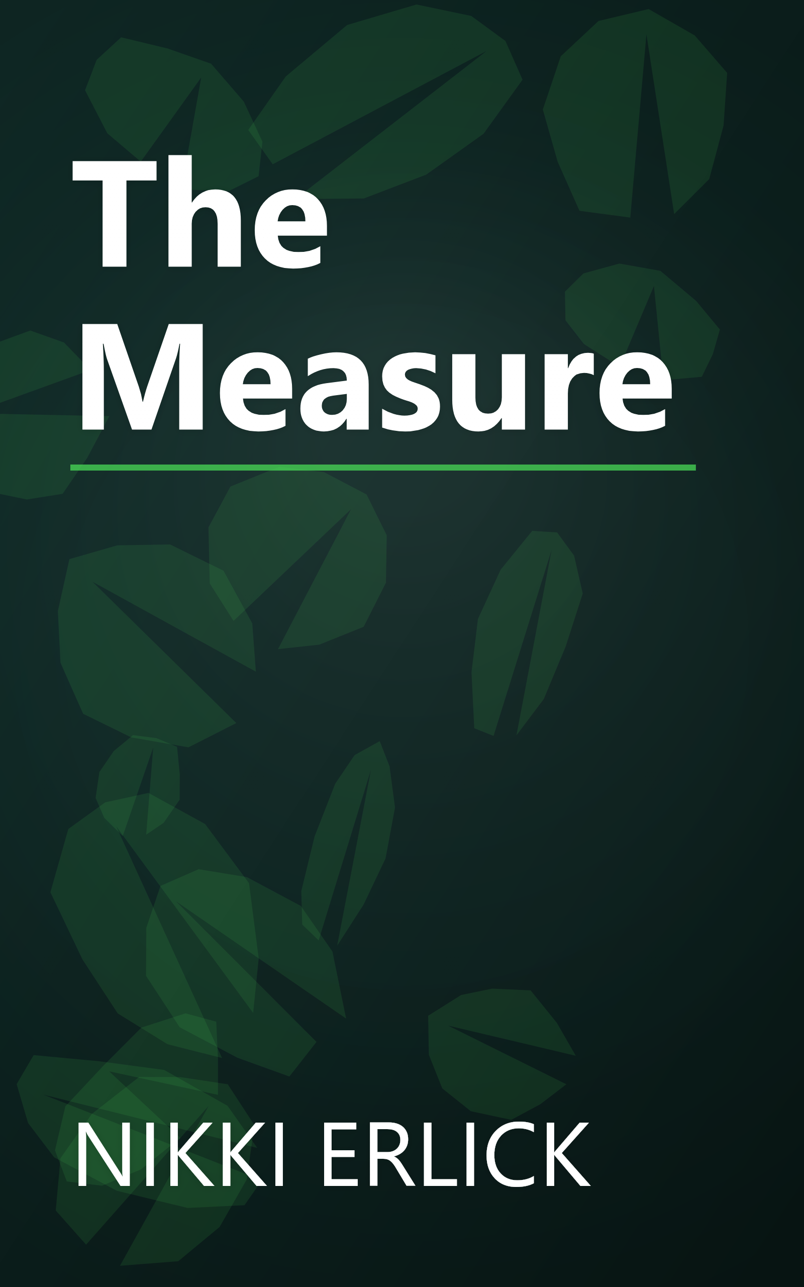 The Measure book cover