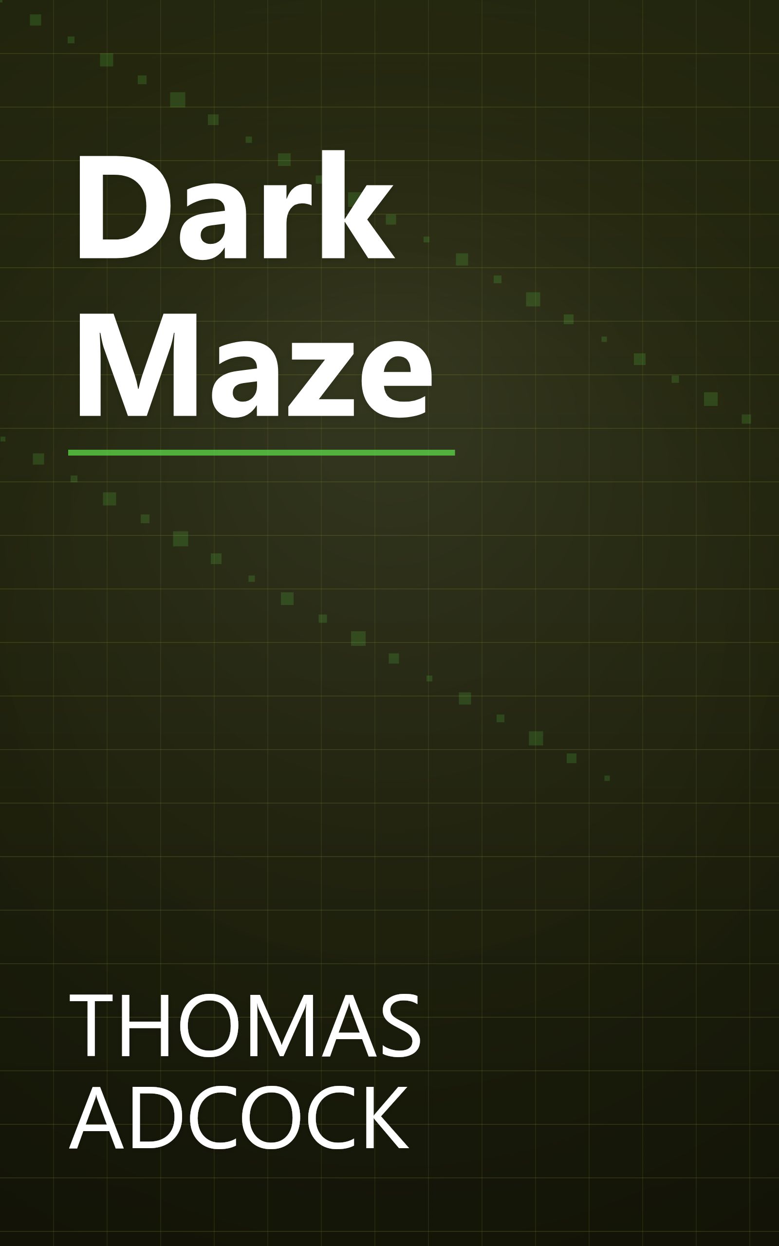 Dark Maze book cover