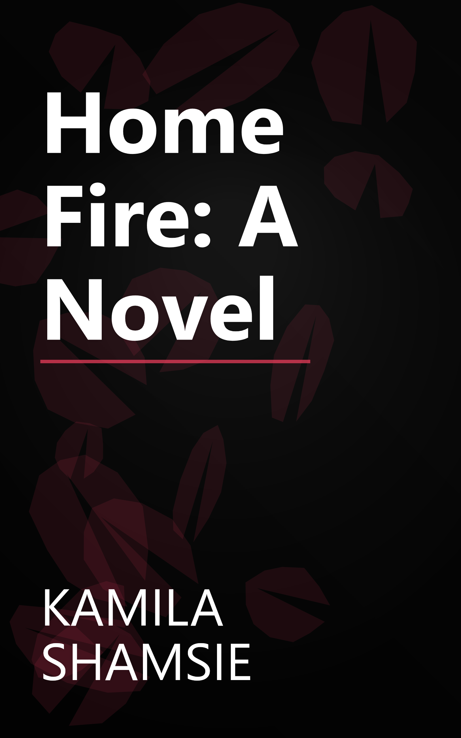 Home Fire: A Novel book cover