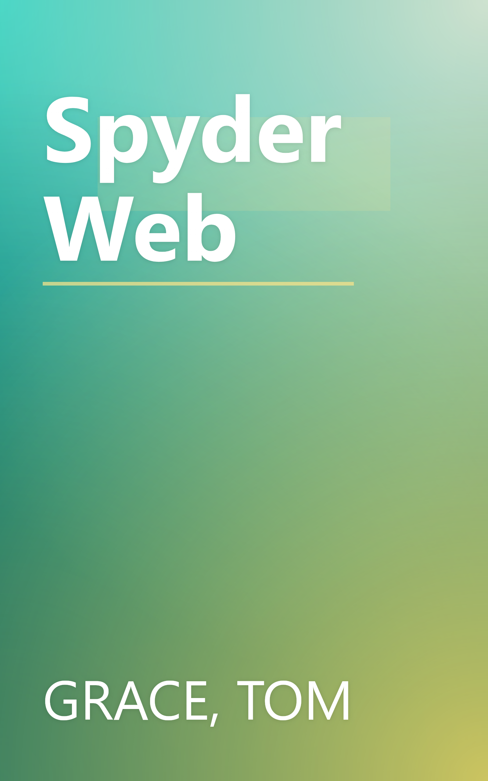 Spyder Web book cover