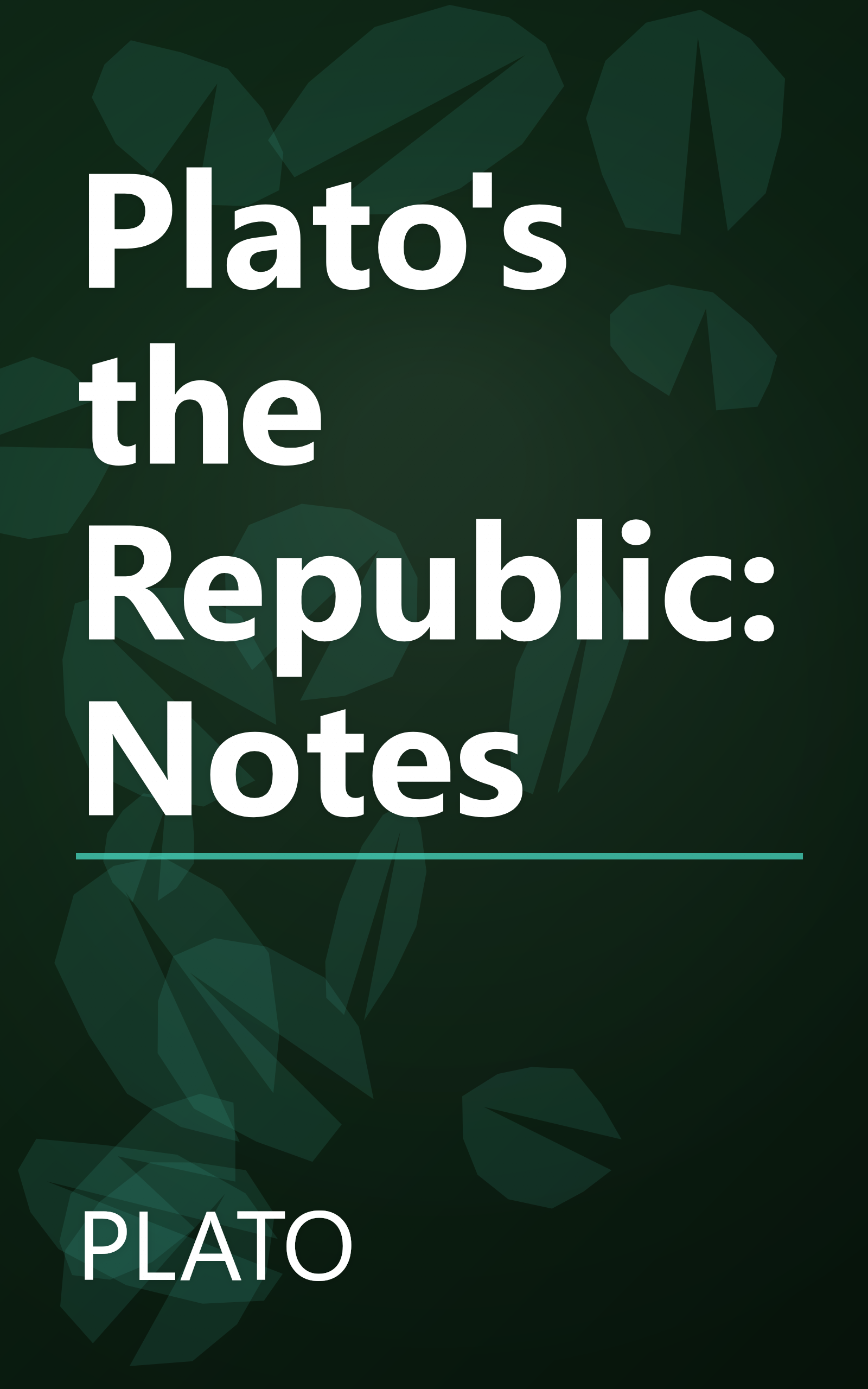 Plato's the Republic: Notes book cover