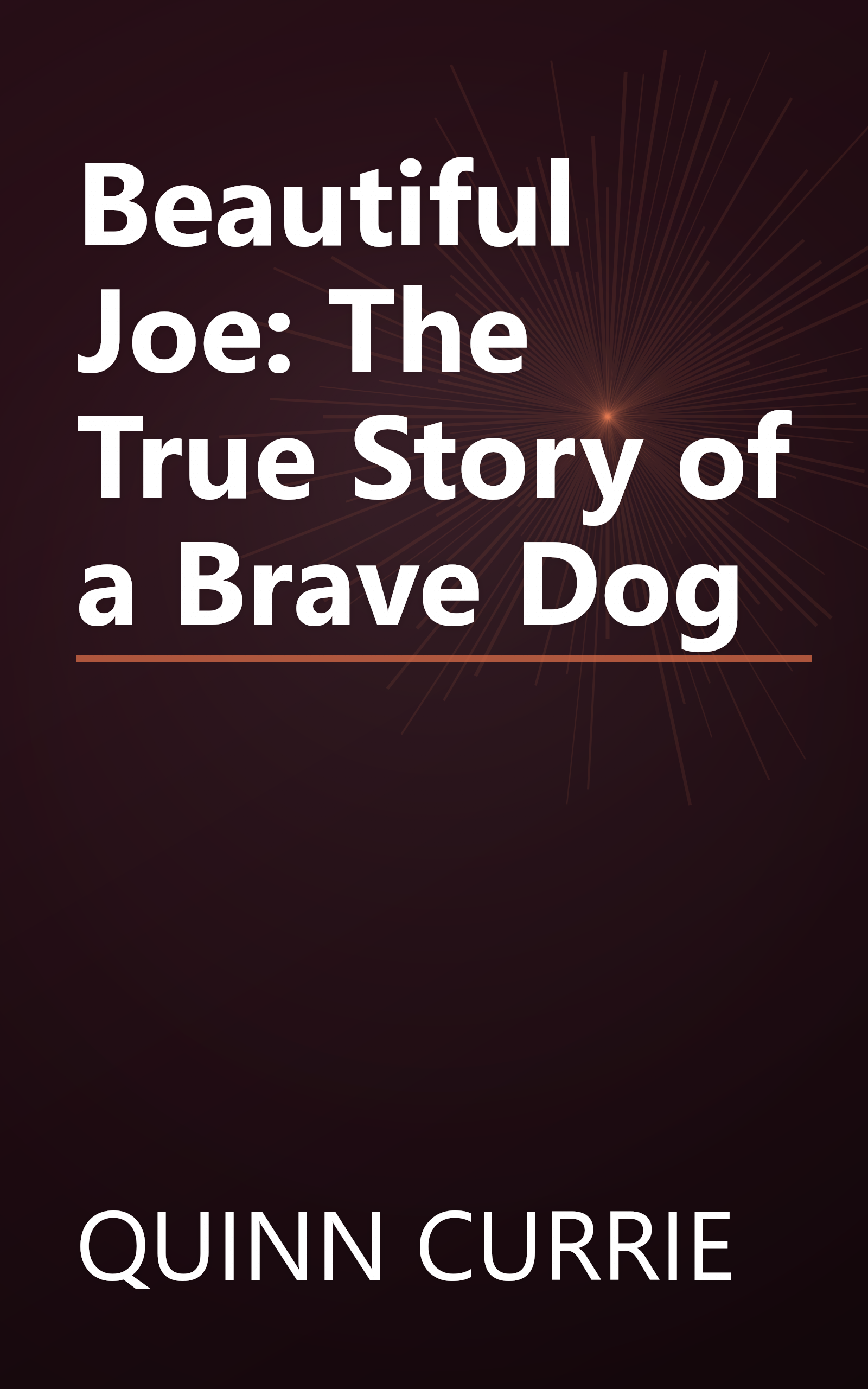 Beautiful Joe: The True Story of a Brave Dog book cover