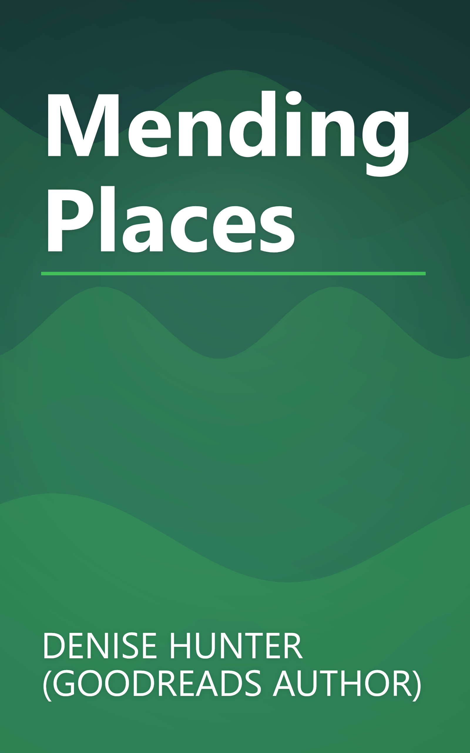 Mending Places book cover