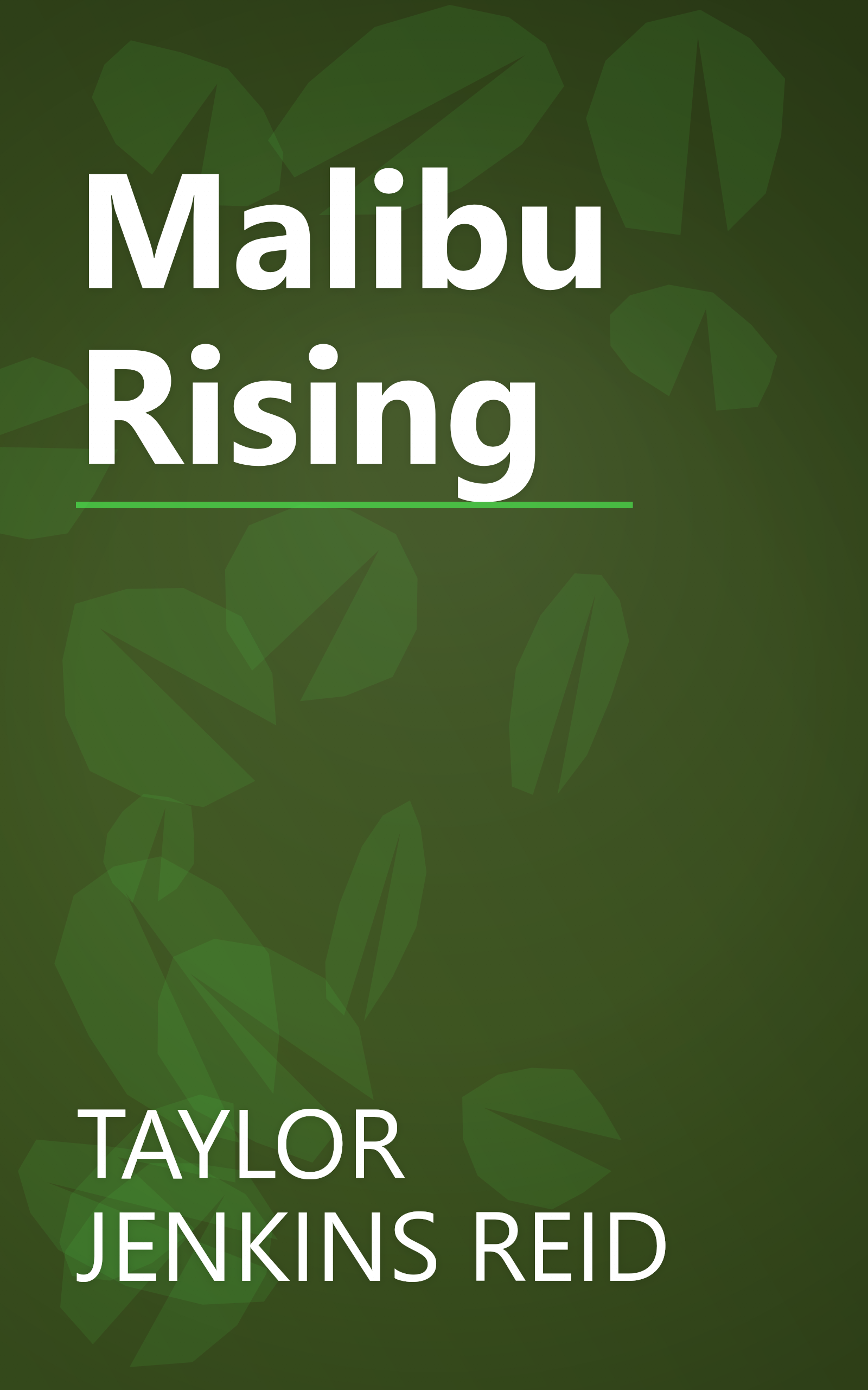 Malibu Rising book cover