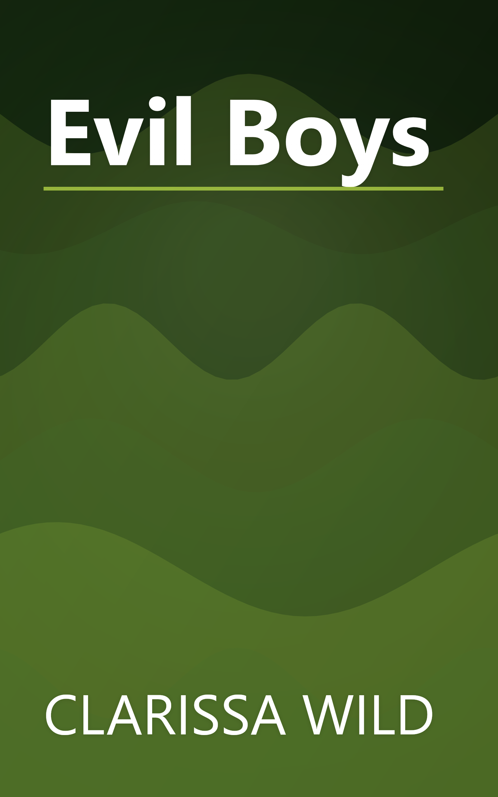 Evil Boys book cover