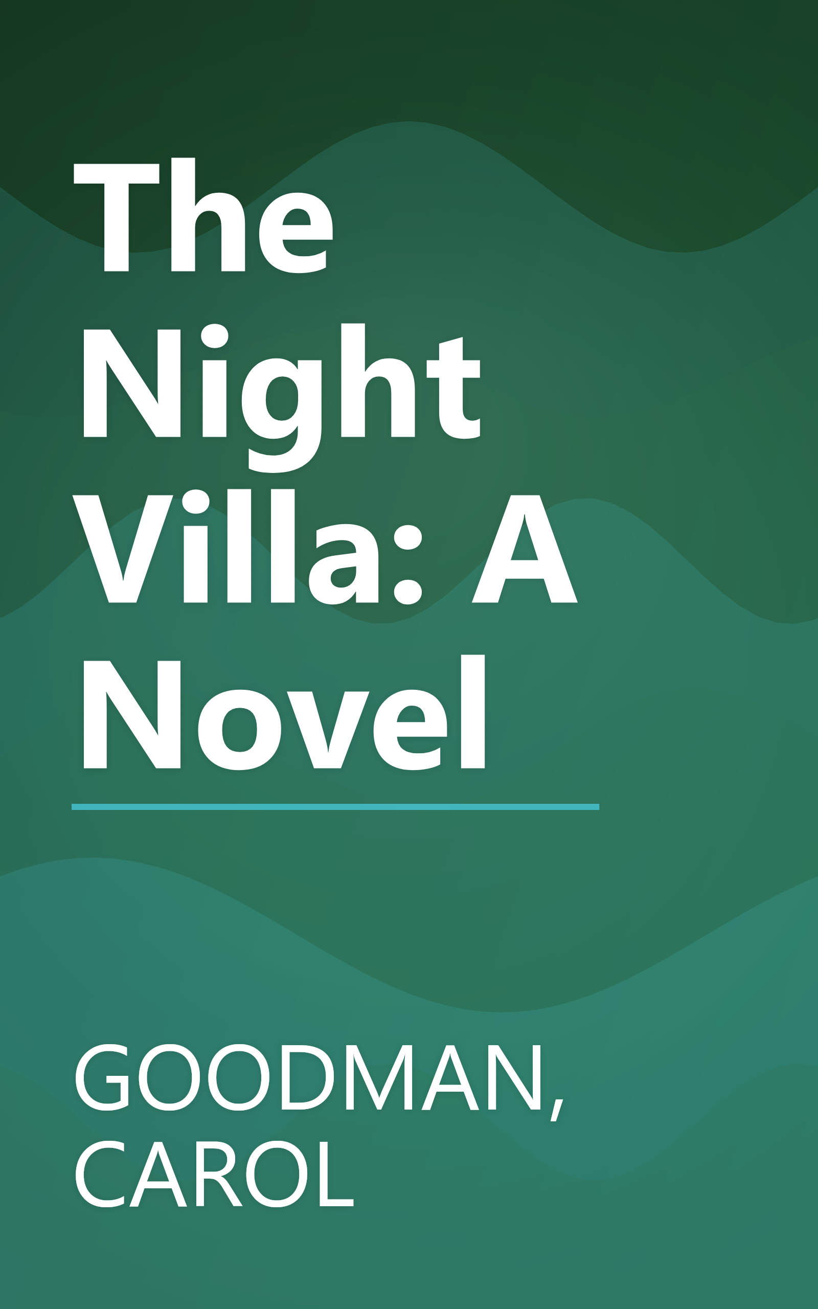 The Night Villa: A Novel book cover
