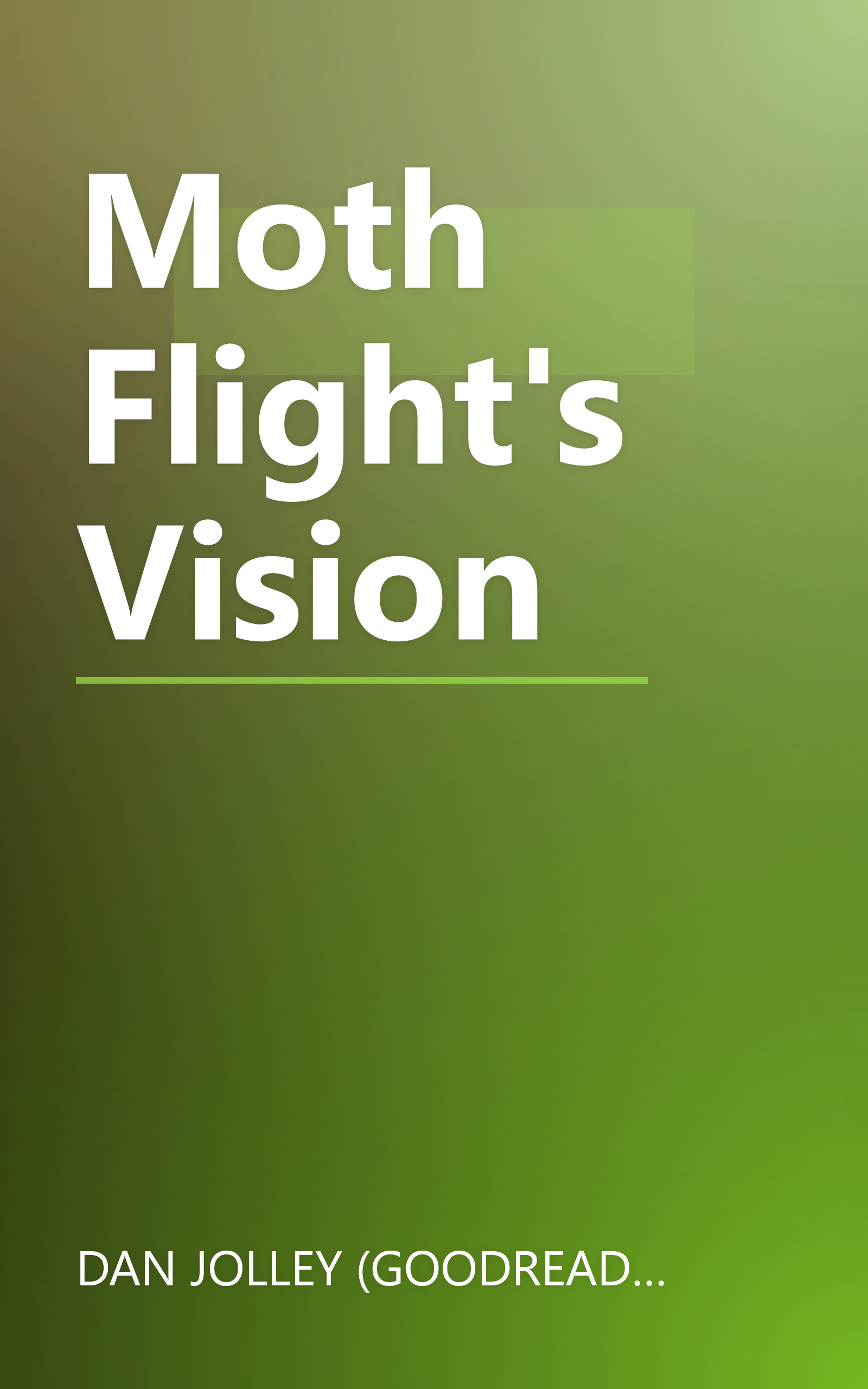 Moth Flight's Vision book cover