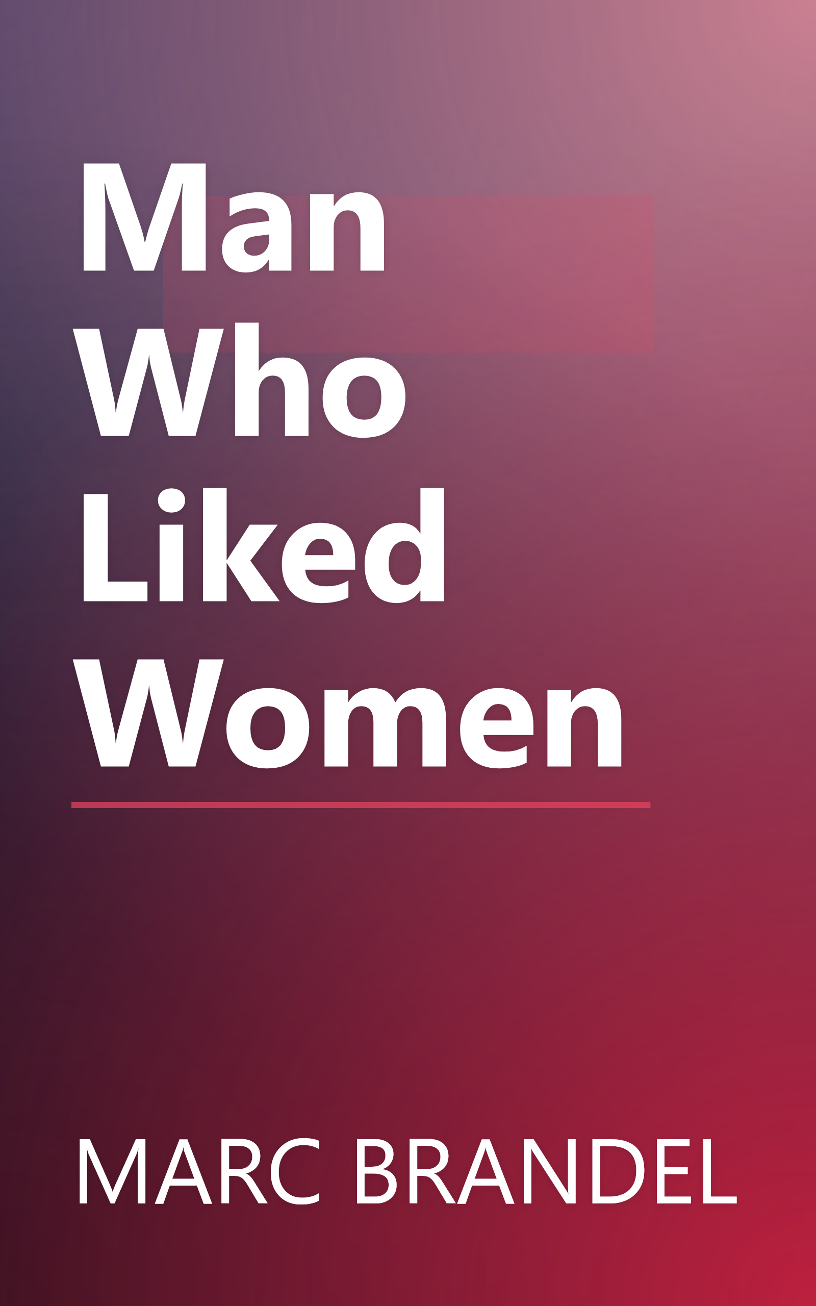 Man Who Liked Women book cover