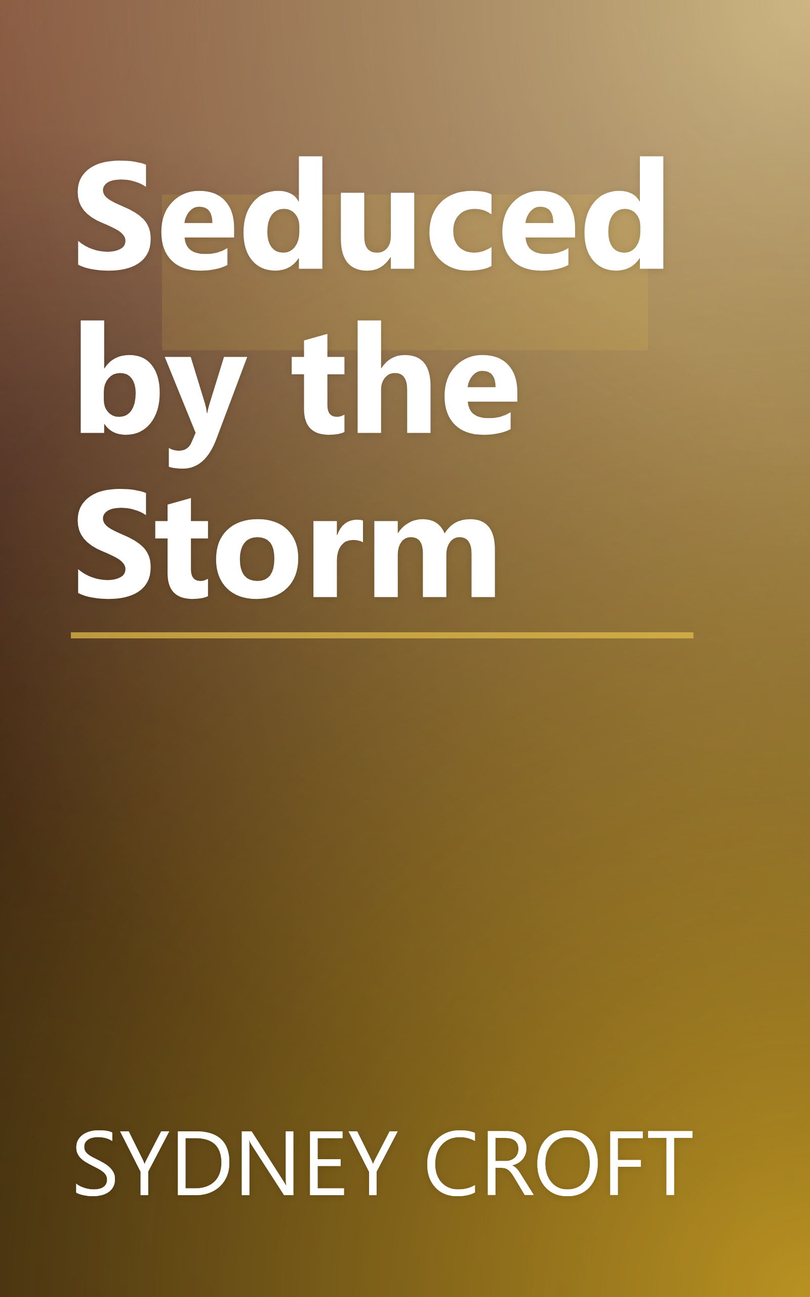 Seduced by the Storm book cover