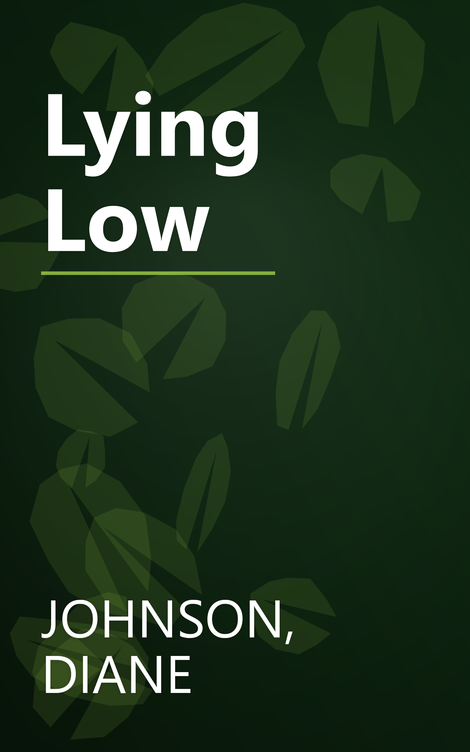 Lying Low book cover